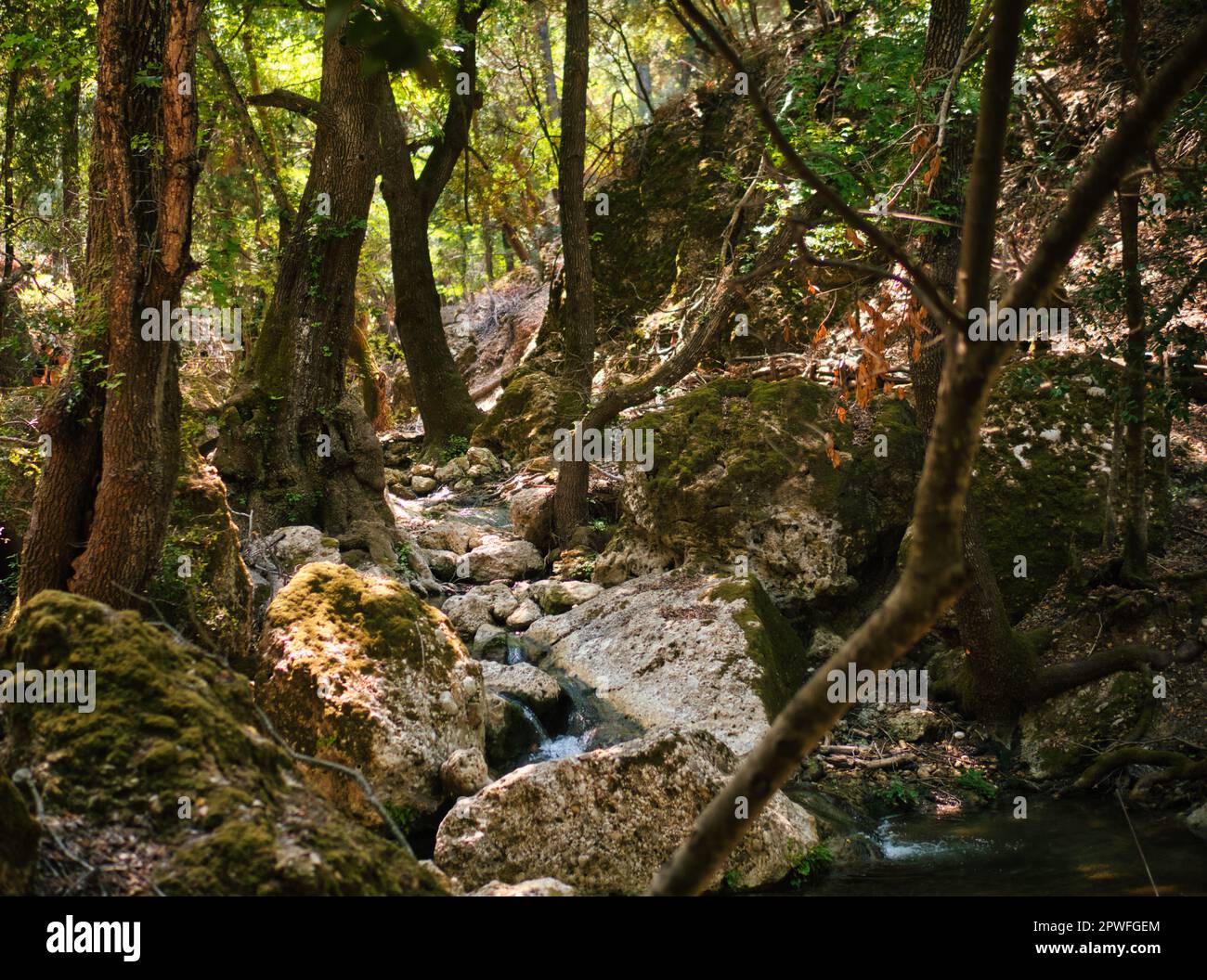 small stream in a valley with trees and large stones on the Rhodes ...