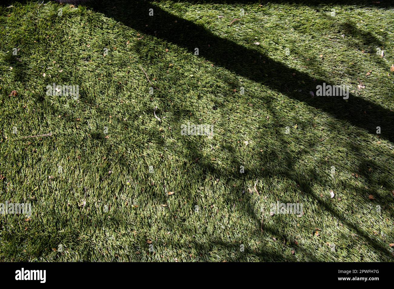 Artificial Grass verge on a road in Chiswick, West London UK Stock ...