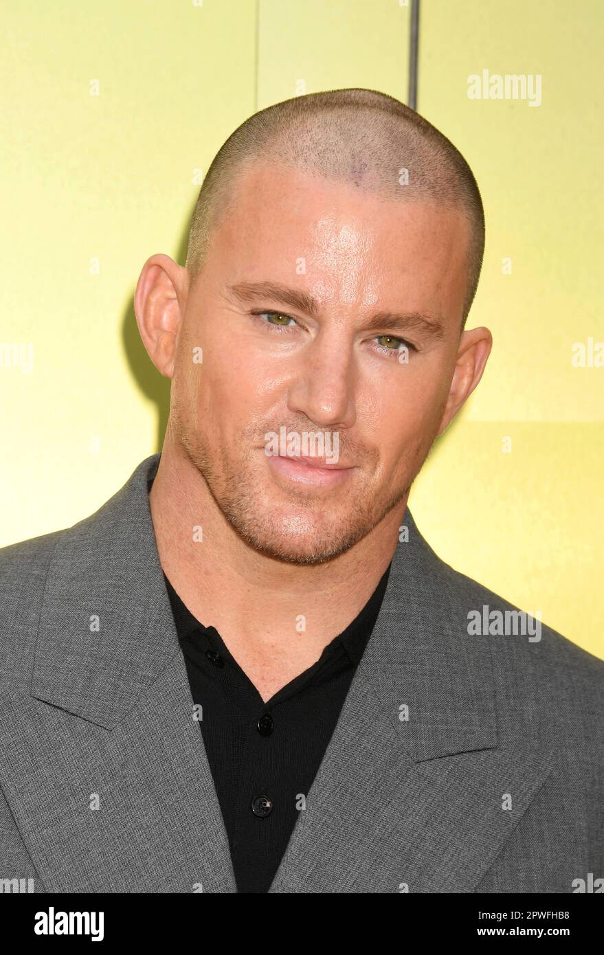 WEST HOLLYWOOD, CALIFORNIA, 3/9/23 Channing Tatum attends the Versace ...