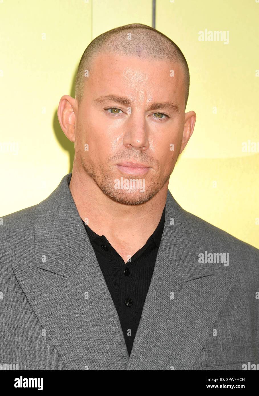 WEST HOLLYWOOD, CALIFORNIA, 3/9/23 Channing Tatum attends the Versace ...