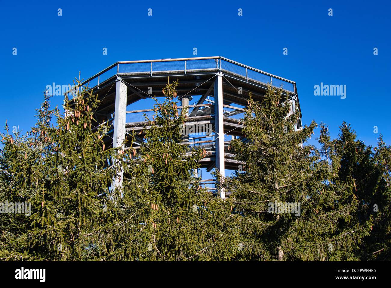 Lipno tree top walk hi-res stock photography and images - Alamy