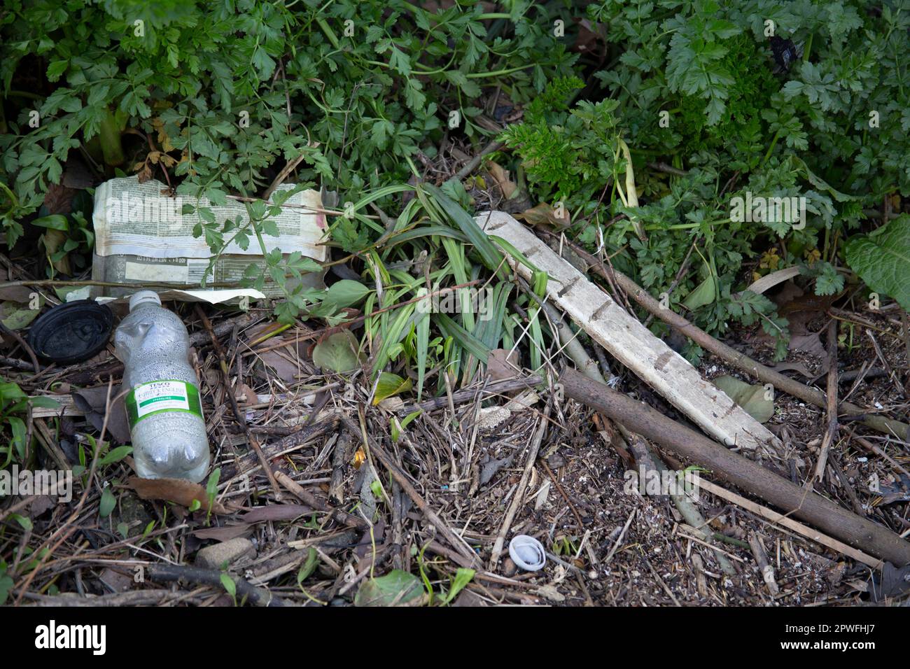 Bits of plastic, micro plastic and other detritus on the Thames ...