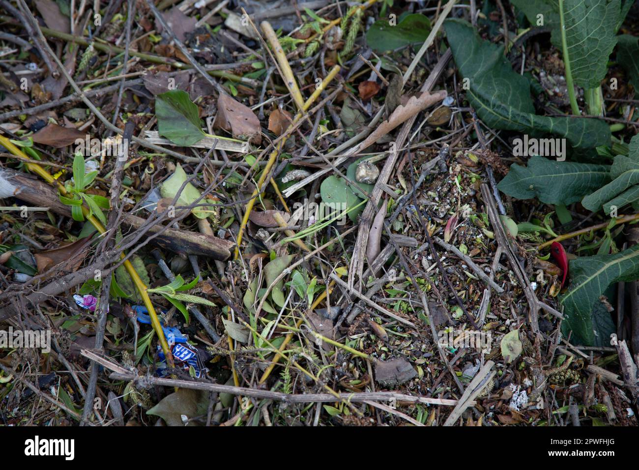 Bits of plastic, micro plastic and other detritus on the Thames ...