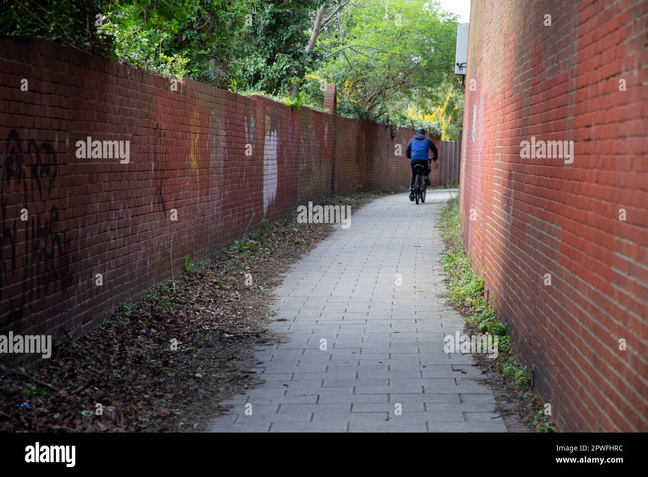 Cyclist riding down a arrow pedestrian alley, Chiswick, West London, UK ...