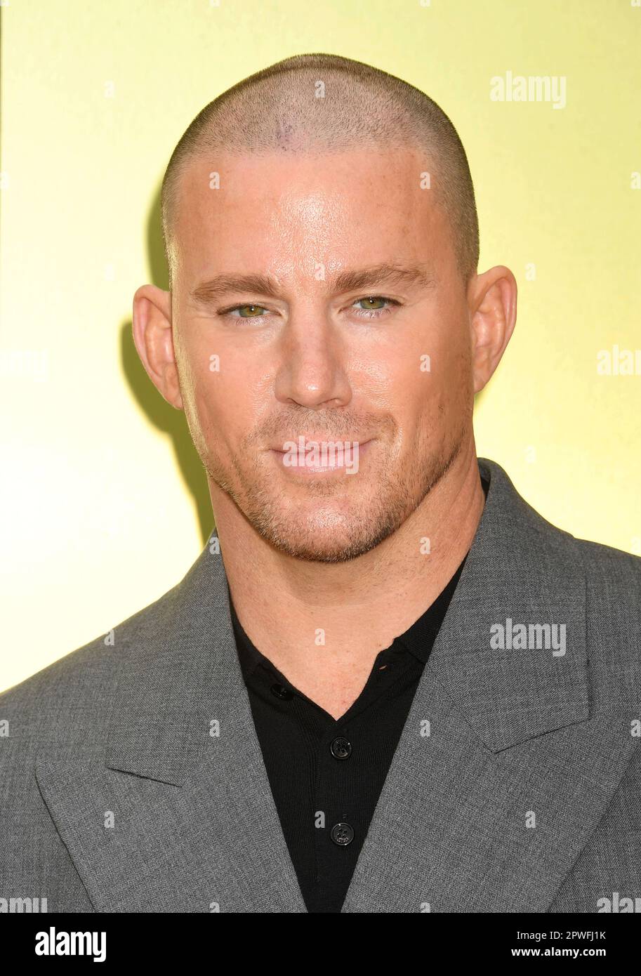 WEST HOLLYWOOD, CALIFORNIA, 3/9/23 Channing Tatum attends the Versace ...