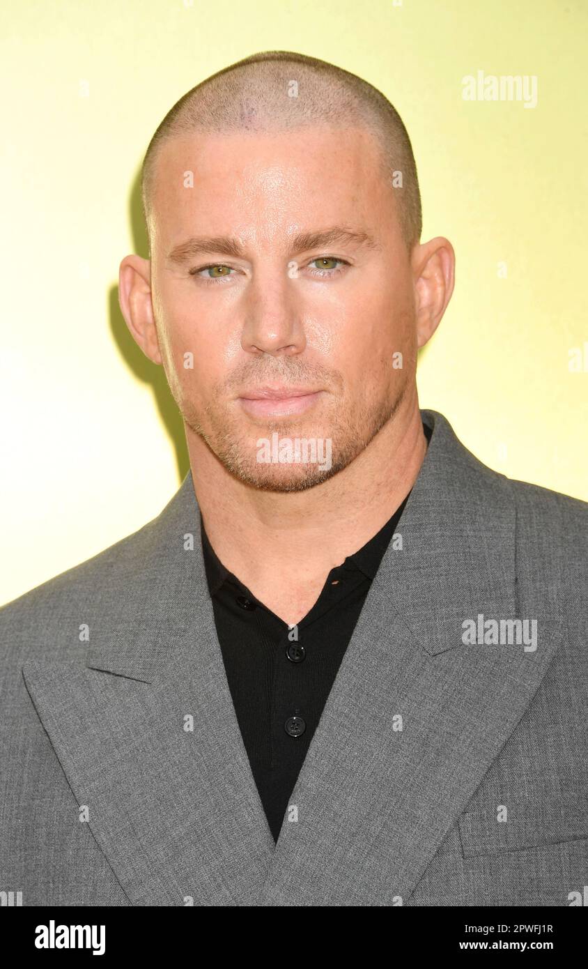 WEST HOLLYWOOD, CALIFORNIA, 3/9/23 Channing Tatum attends the Versace ...