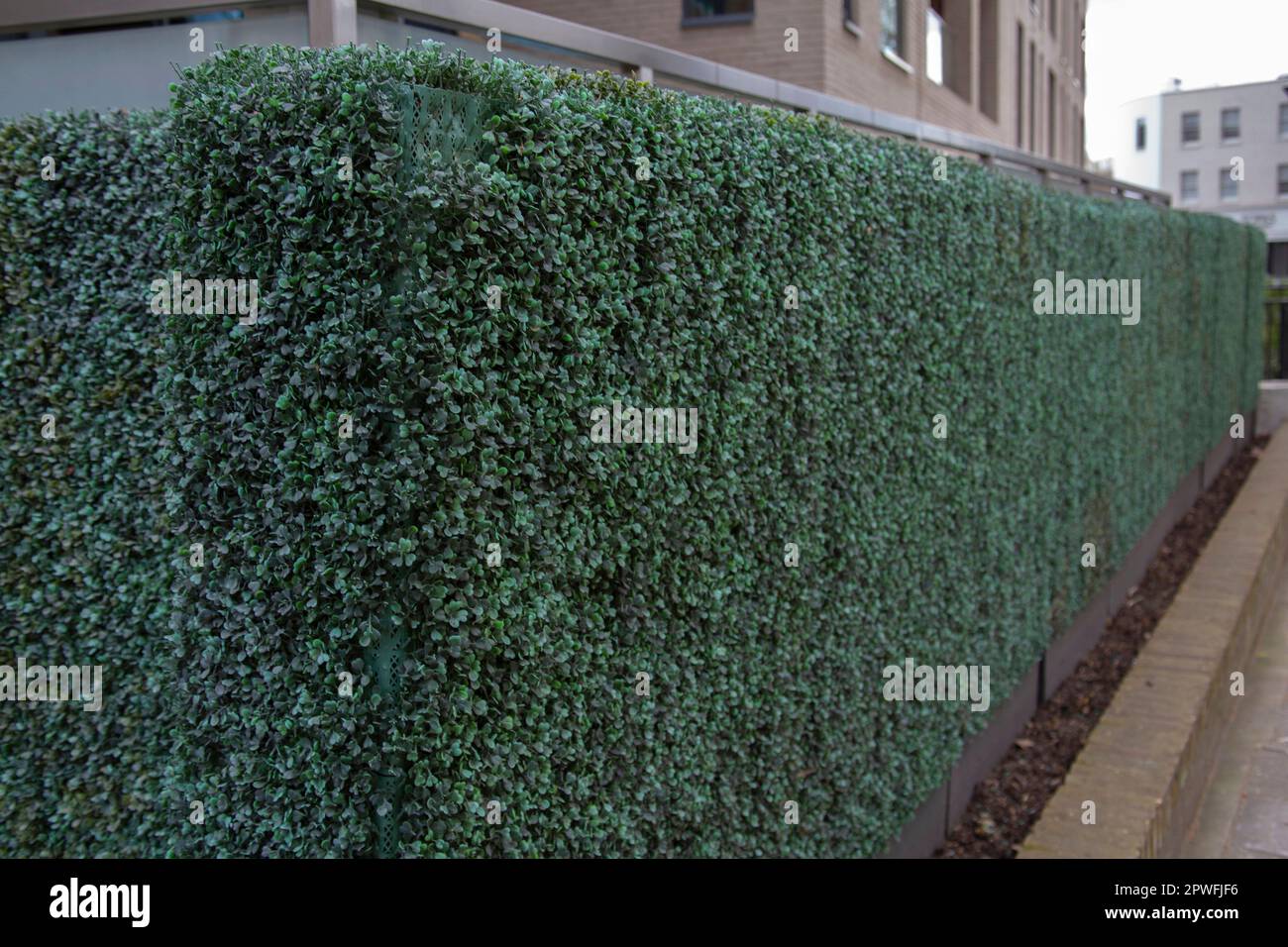 Plastic boxwood hedging hi-res stock photography and images - Alamy