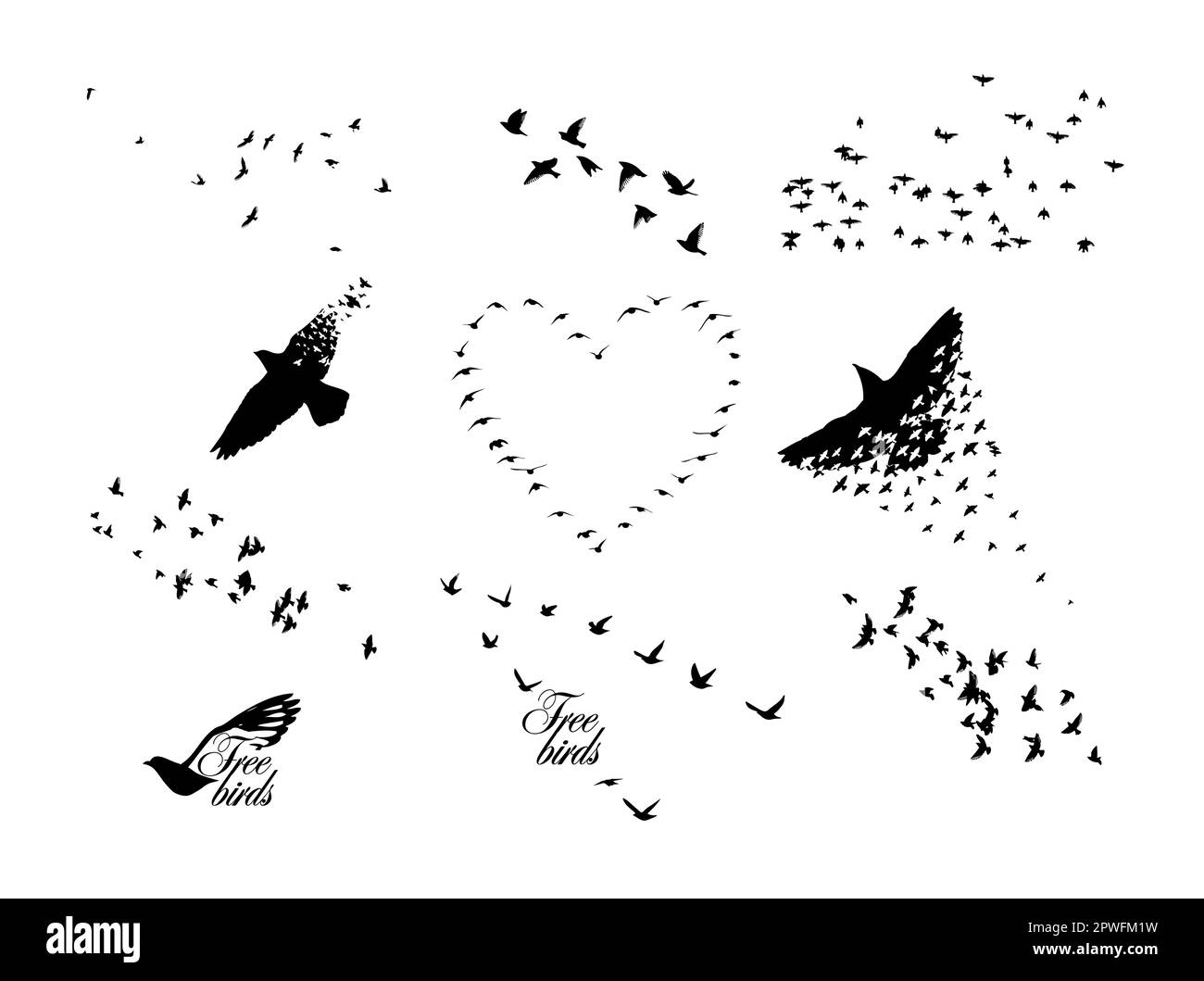 A flock of flying birds. Set of different bird flocks. Vector ...