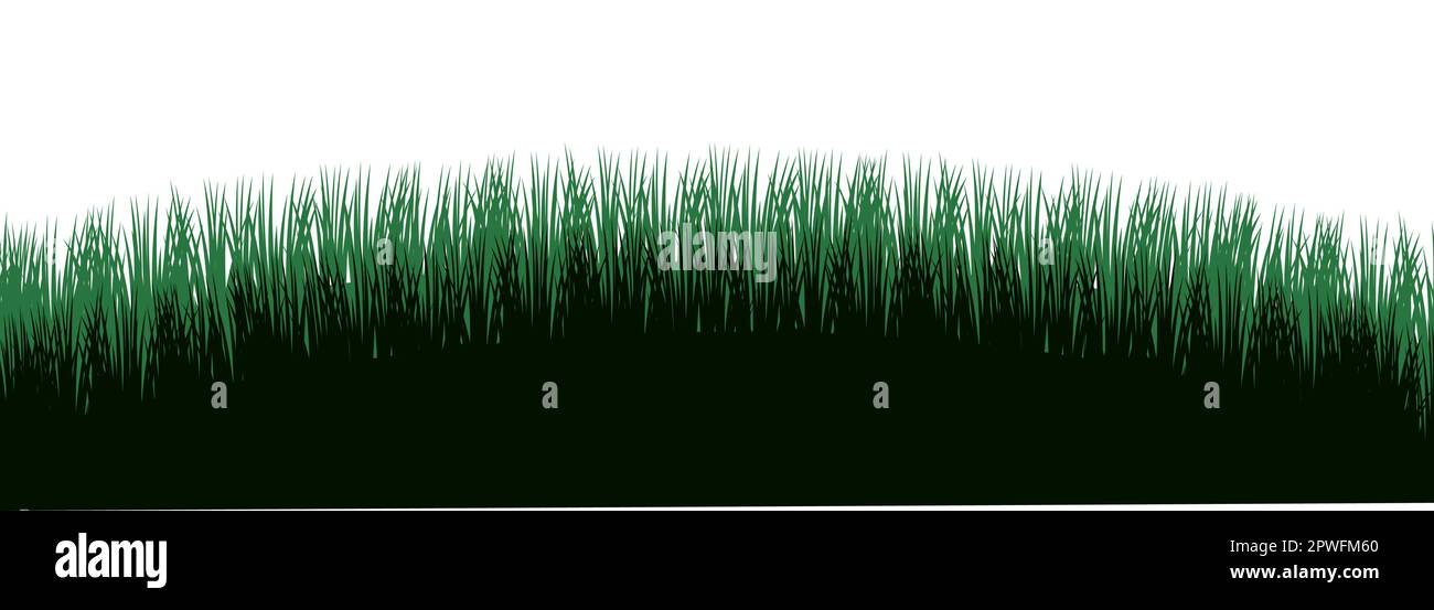 Grass. Nature rural landscape. Pasture overgrown. Overgrown dense lawn ...