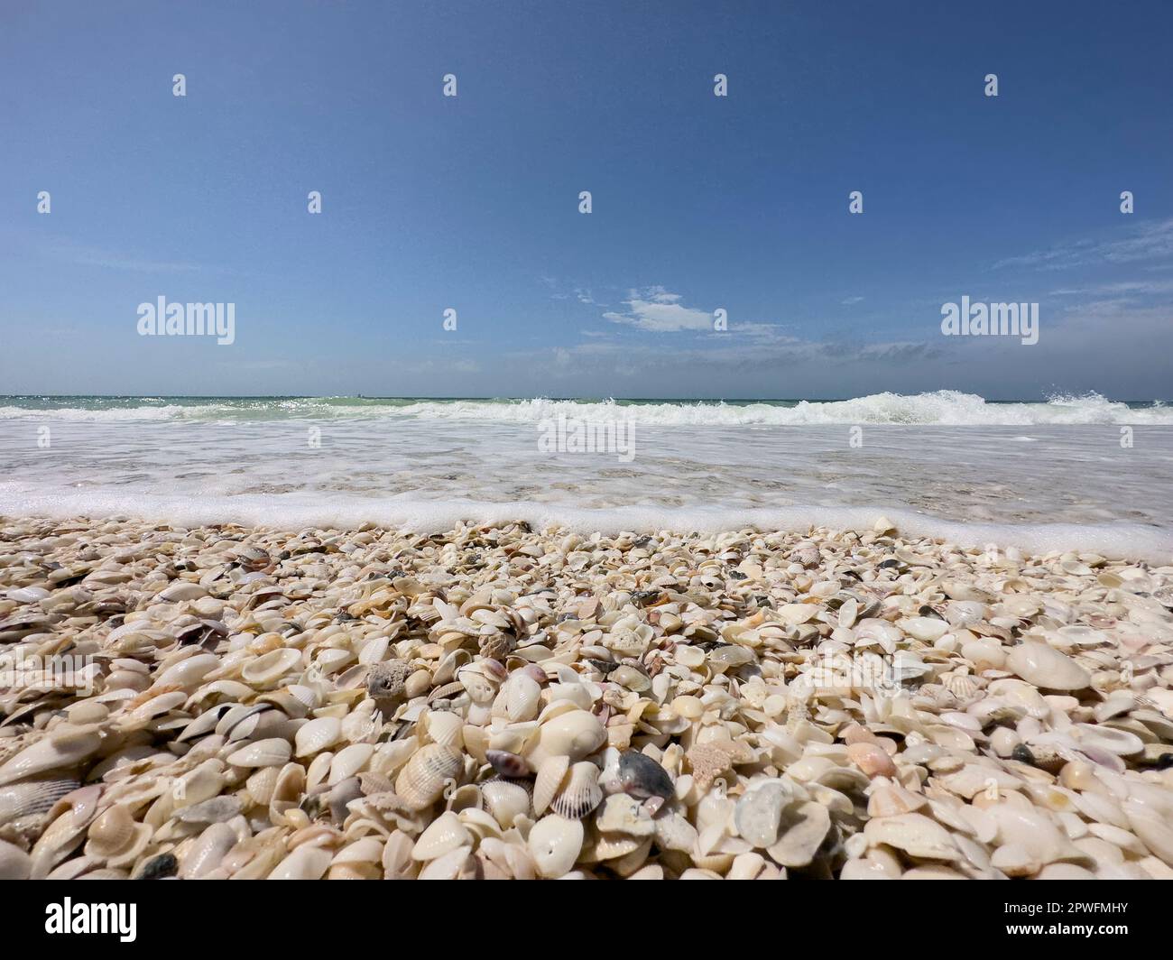 Naples, Florida, USA. 3/18/23. Keewaydin Island barrier island beach ...