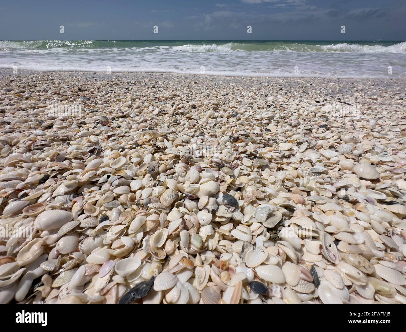 Naples, Florida, USA. 3/18/23. Keewaydin Island barrier island beach ...
