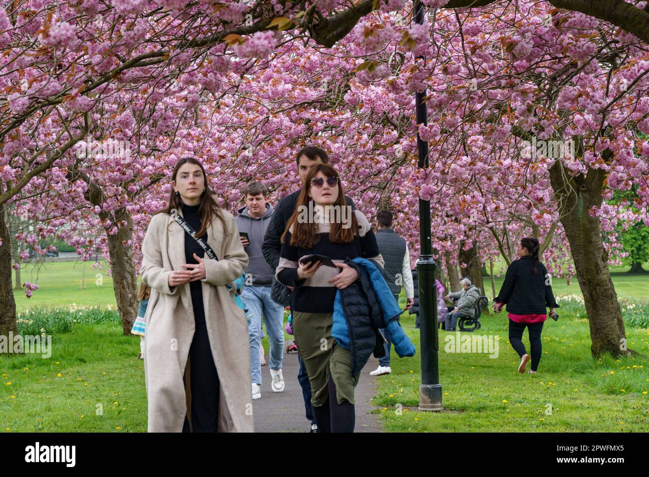 A picturesque scene on The Stray in Harrogate, North Yorkshire, as ...