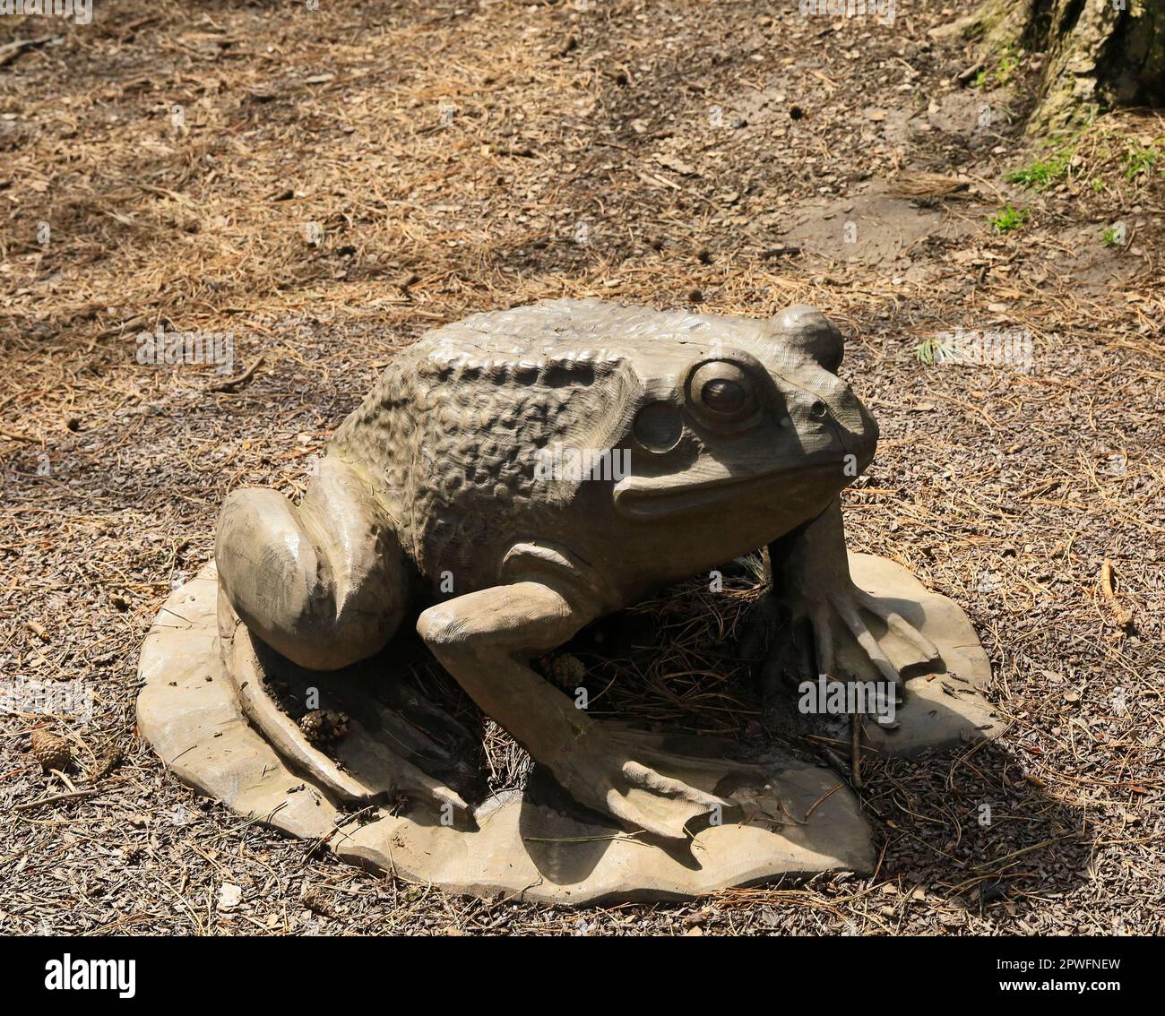 Giant wooden frog on a lily pad sculpture, Bute Park, Cardiff. Taken ...