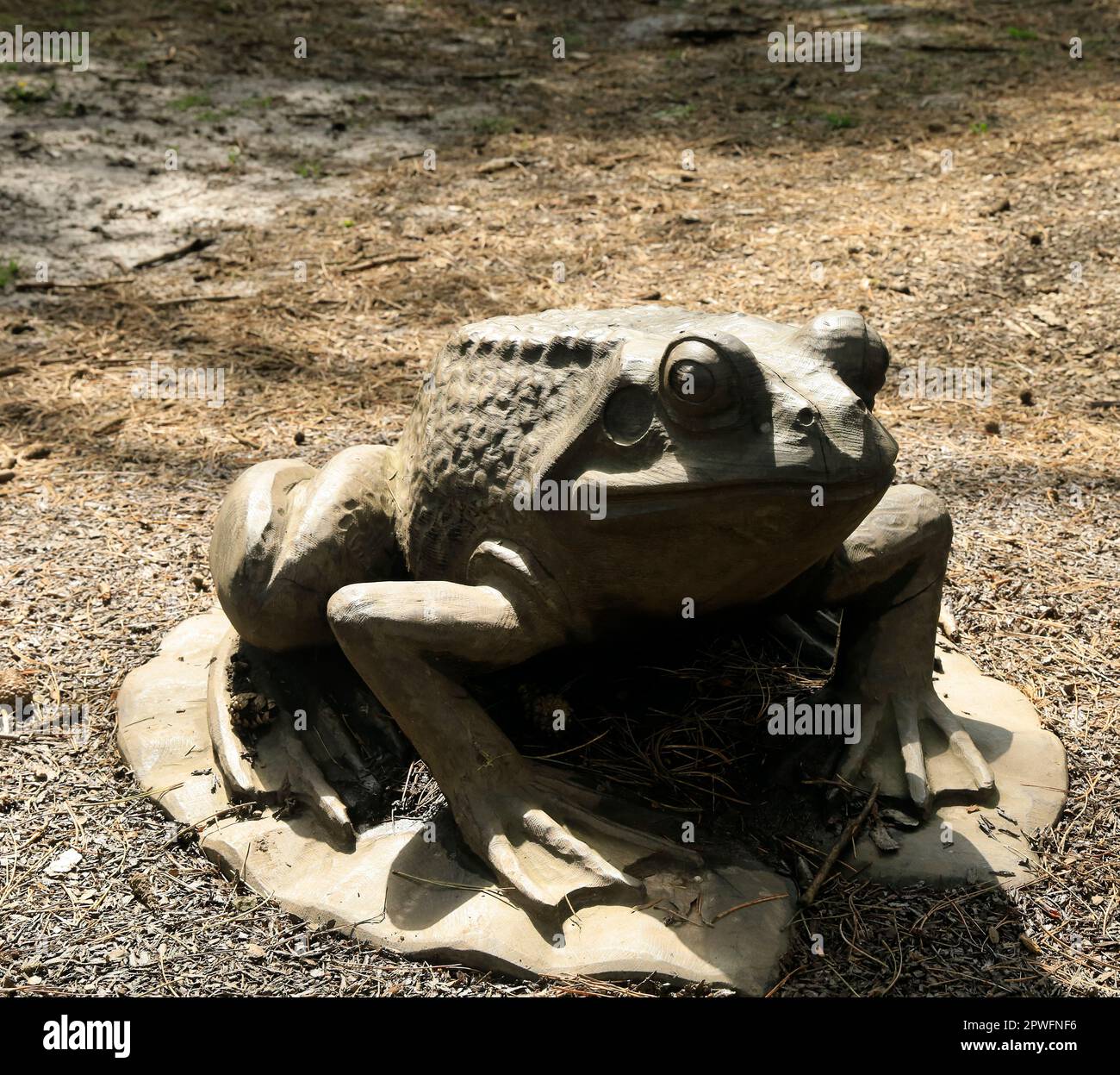 Giant wooden frog on a lily pad sculpture, Bute Park, Cardiff. Taken ...