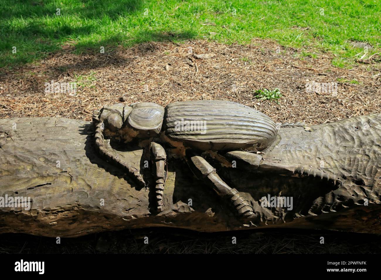 Giant wooden creature sculpture, Bute Park, Cardiff. Taken April 2023 ...
