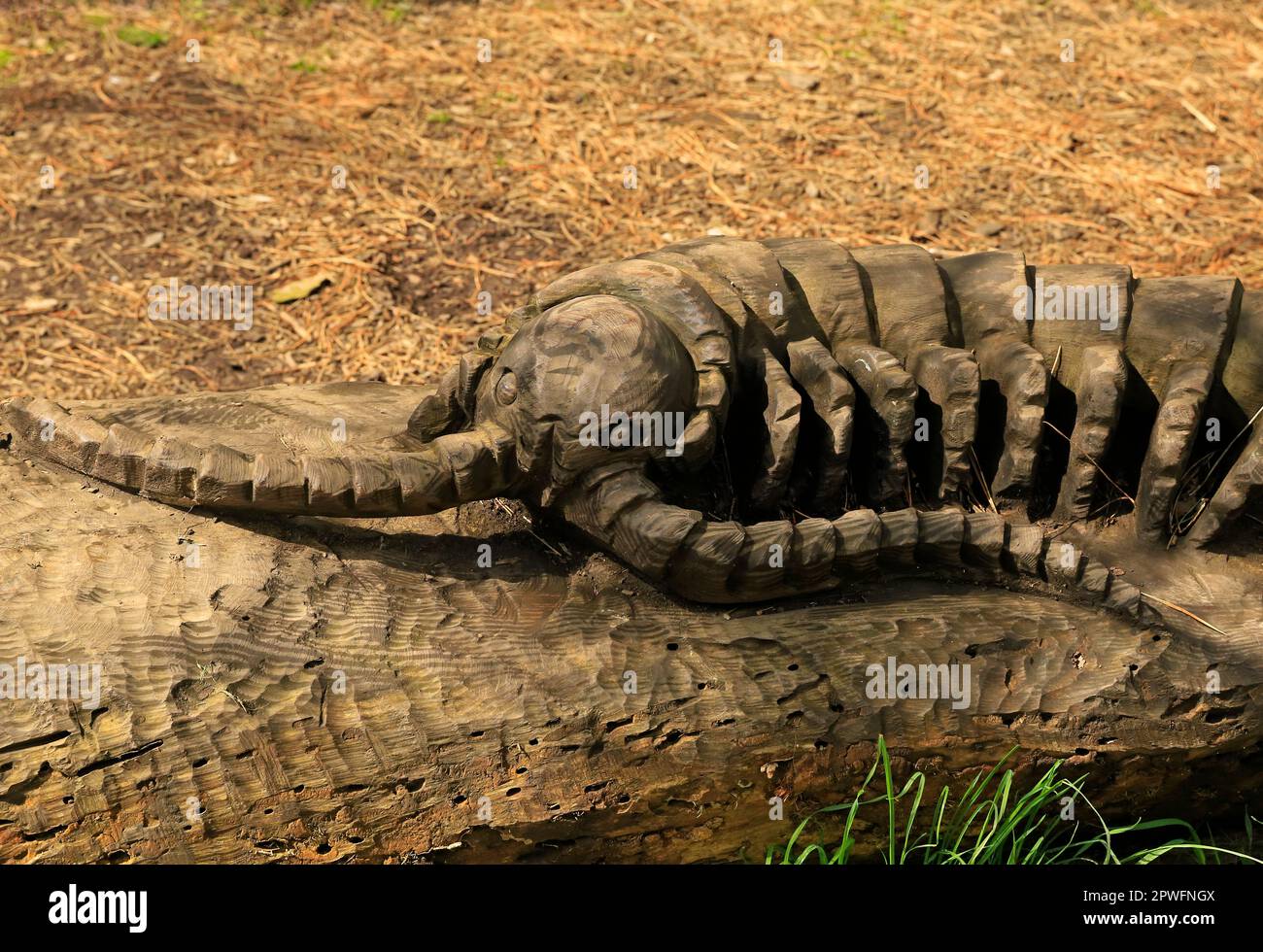 Giant wooden centipede sculpture, Bute Park, Cardiff. Taken April 2023 ...