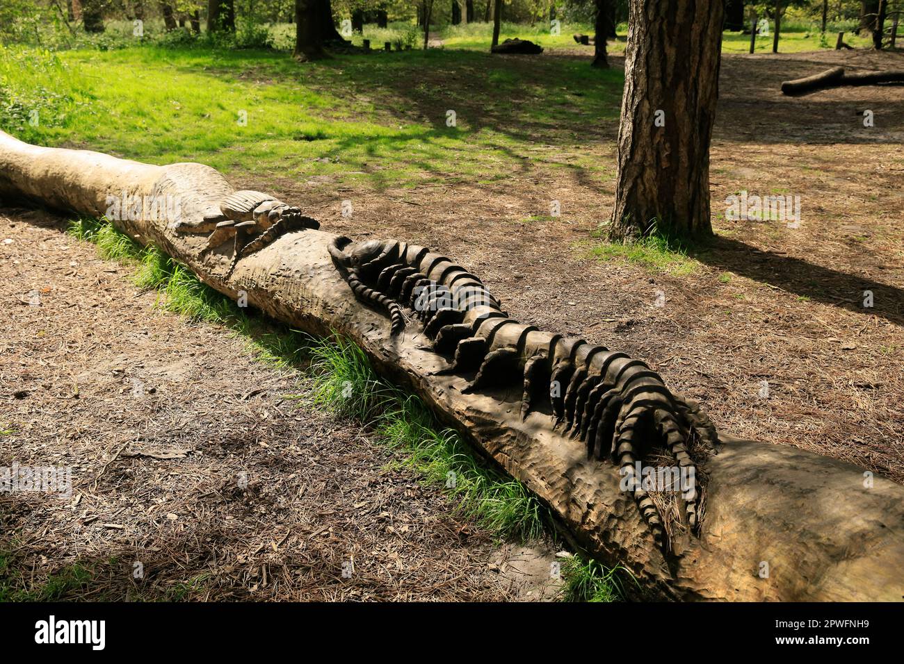 Giant wooden centipede and beetle sculpture, Bute Park, Cardiff. Taken ...