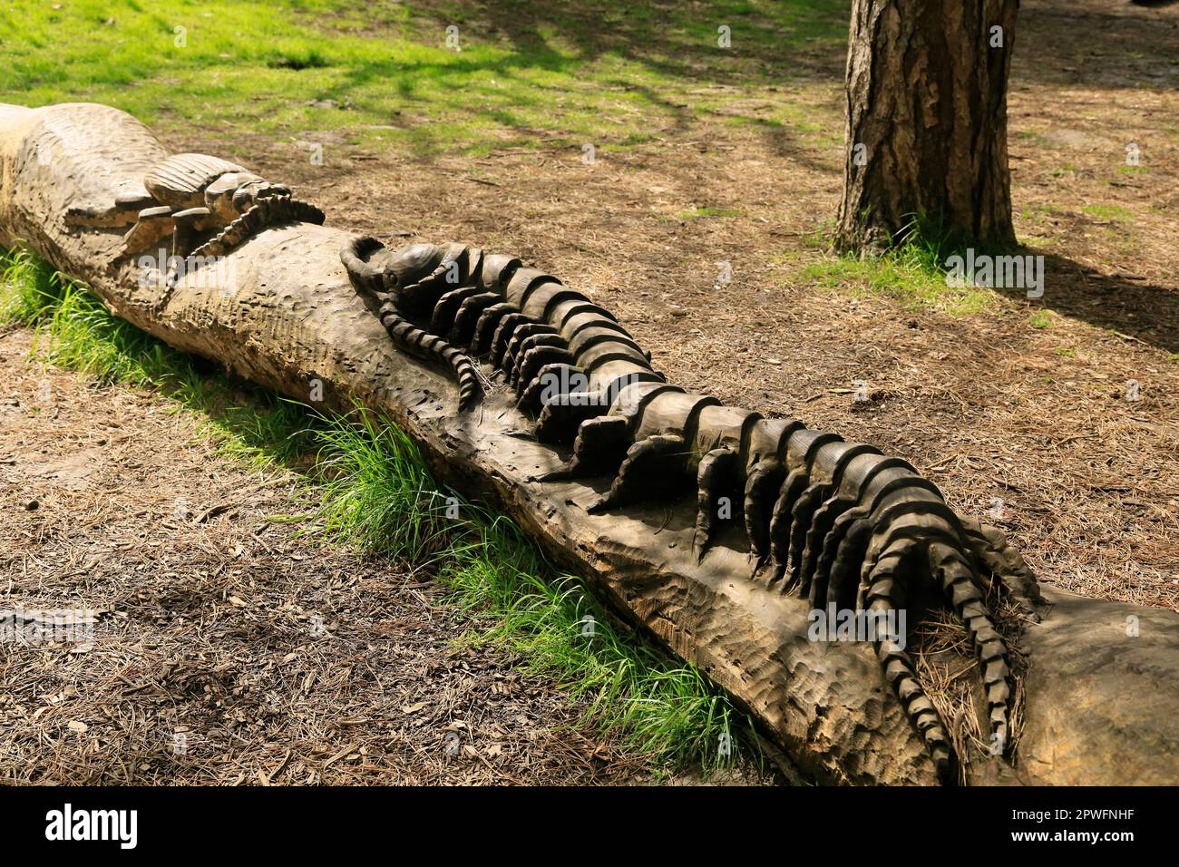 Giant wooden centipede and beetle sculpture, Bute Park, Cardiff. Taken ...