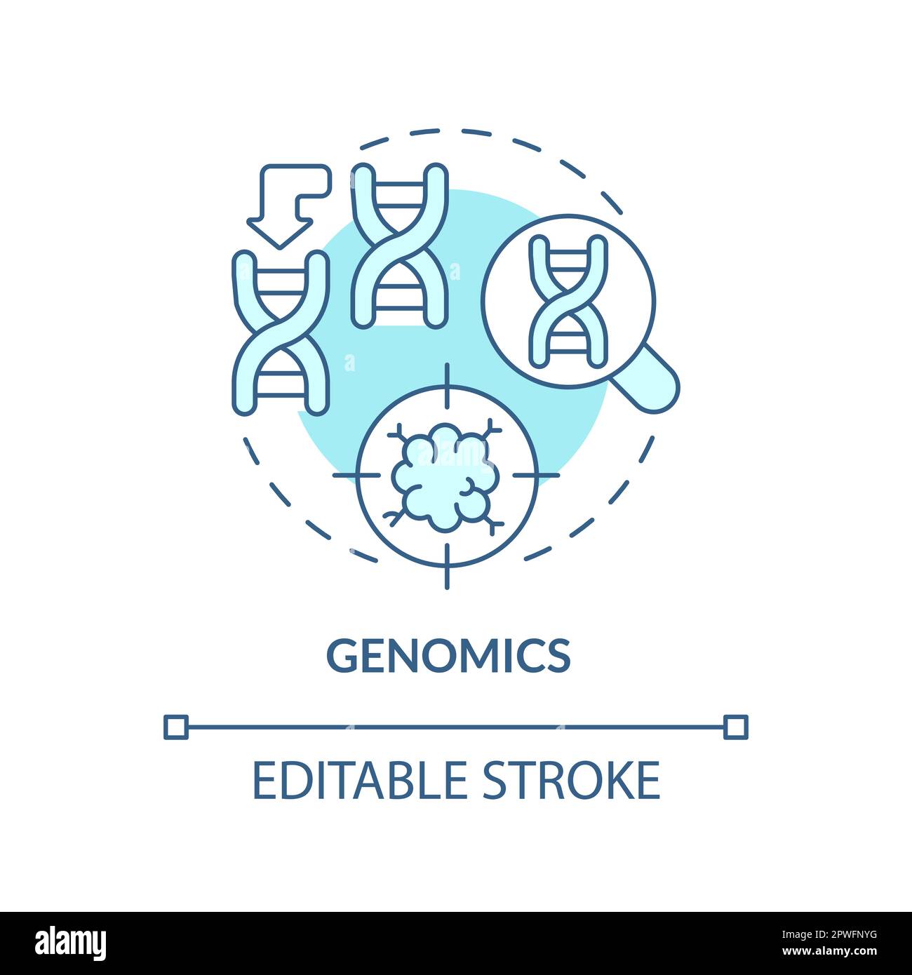 Genetic variations Stock Vector Images - Alamy