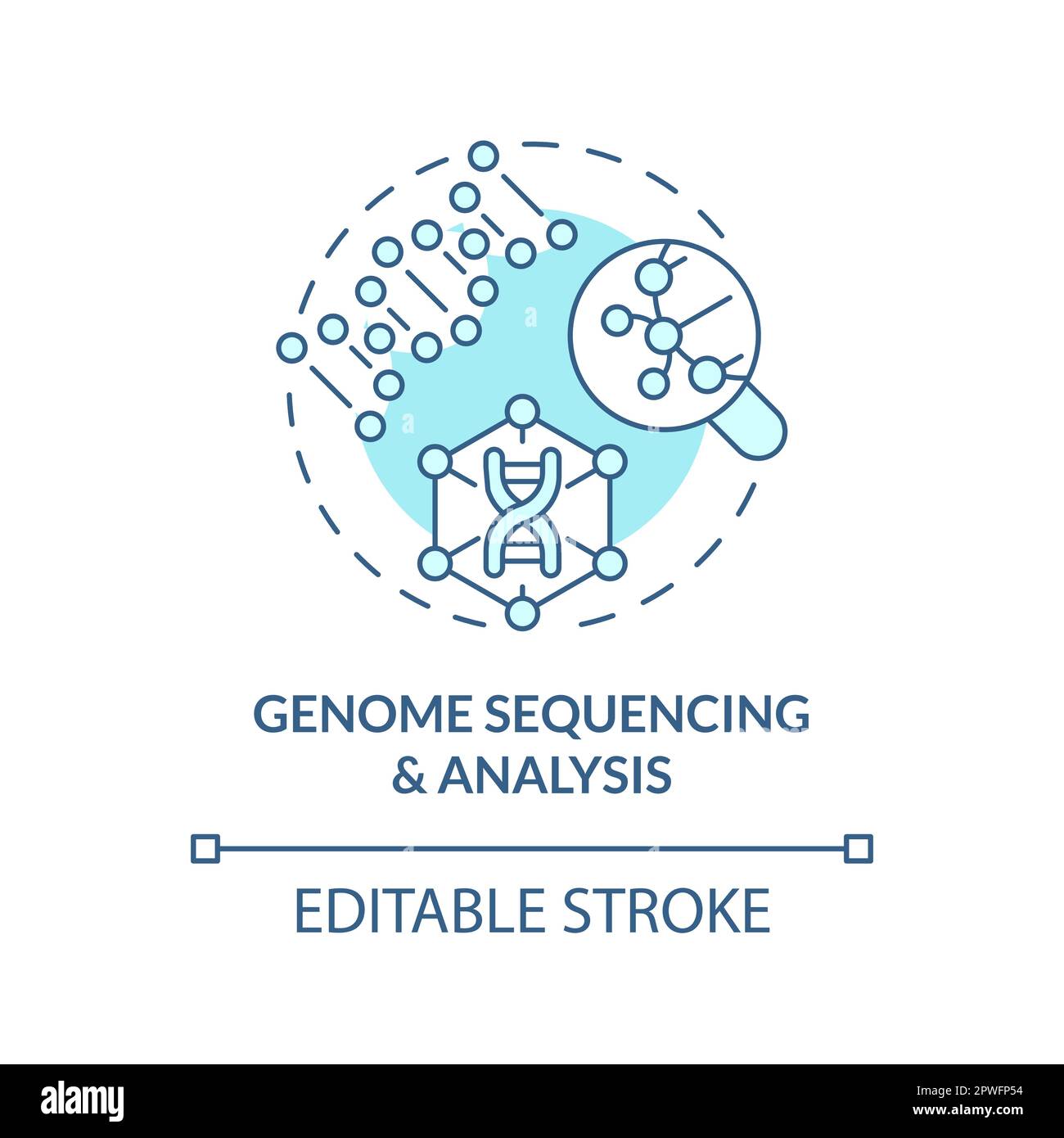 Sequencing vector vectors Cut Out Stock Images & Pictures - Alamy