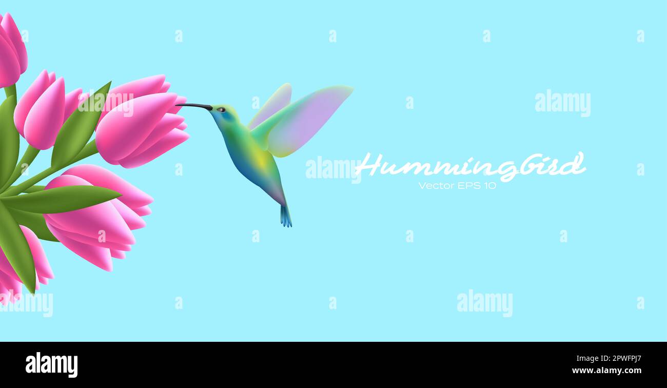 Exotic flowers and hummingbird 3d vector illustration. cartoon style ...