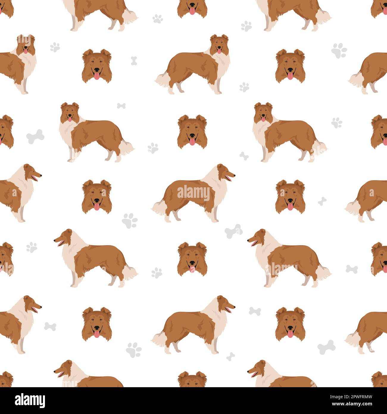 English border collie Stock Vector Images - Alamy