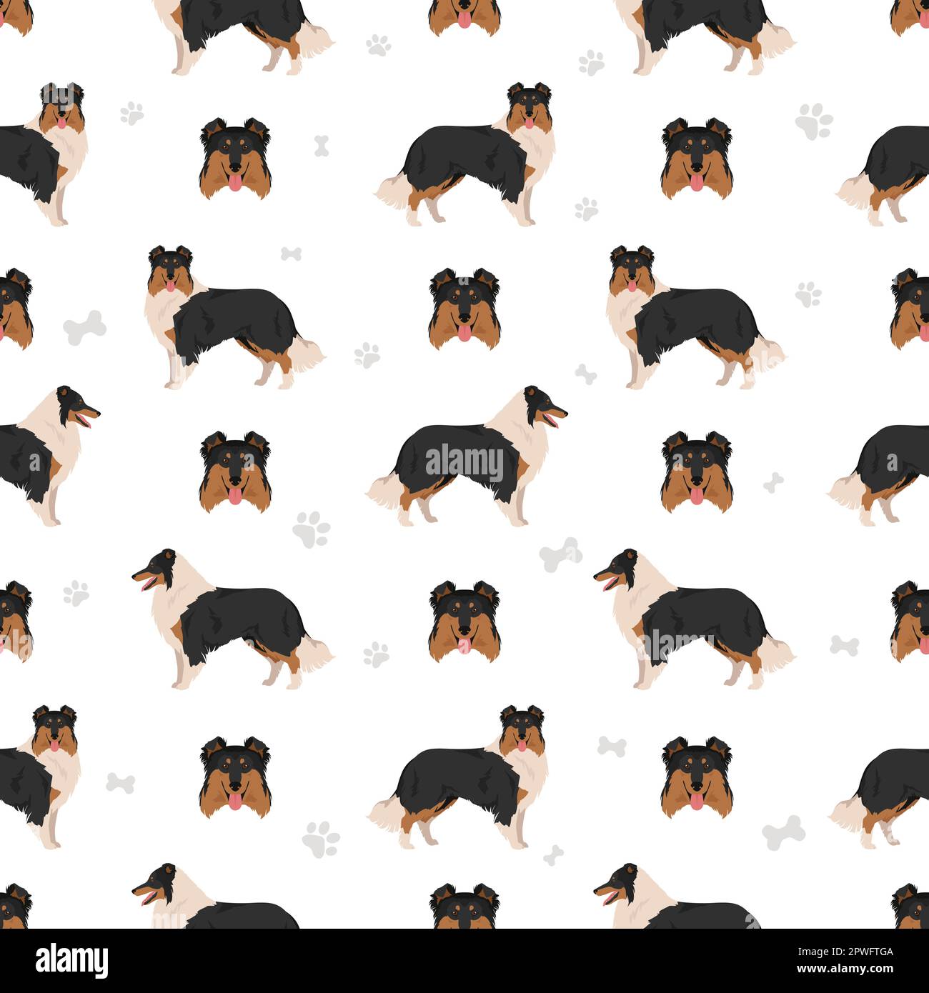 Rough collie seamless pattern. Different poses, coat colors set. Vector ...