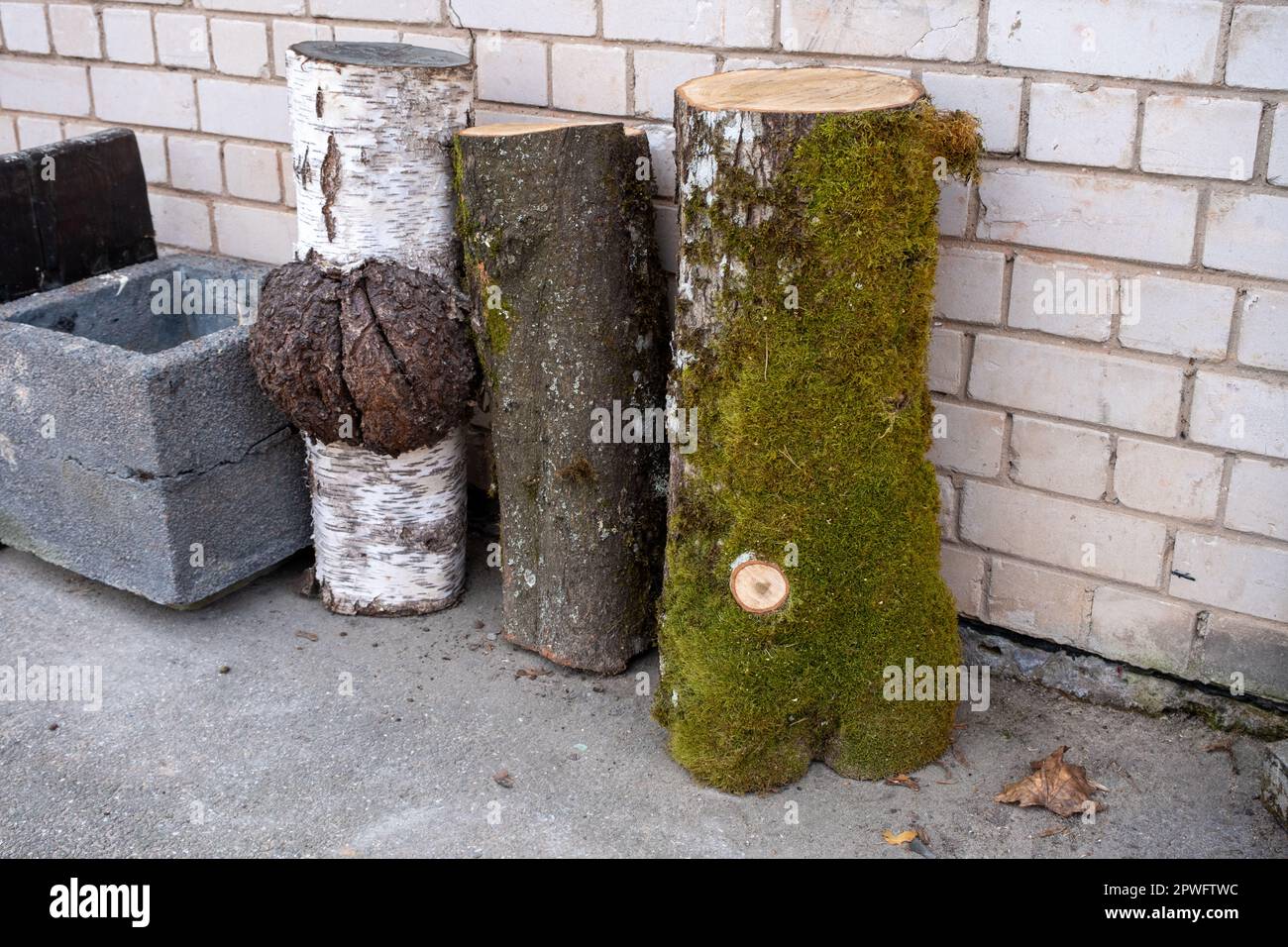 Sawn trees from the forest. Logging wood industry. Three wooden logs ...