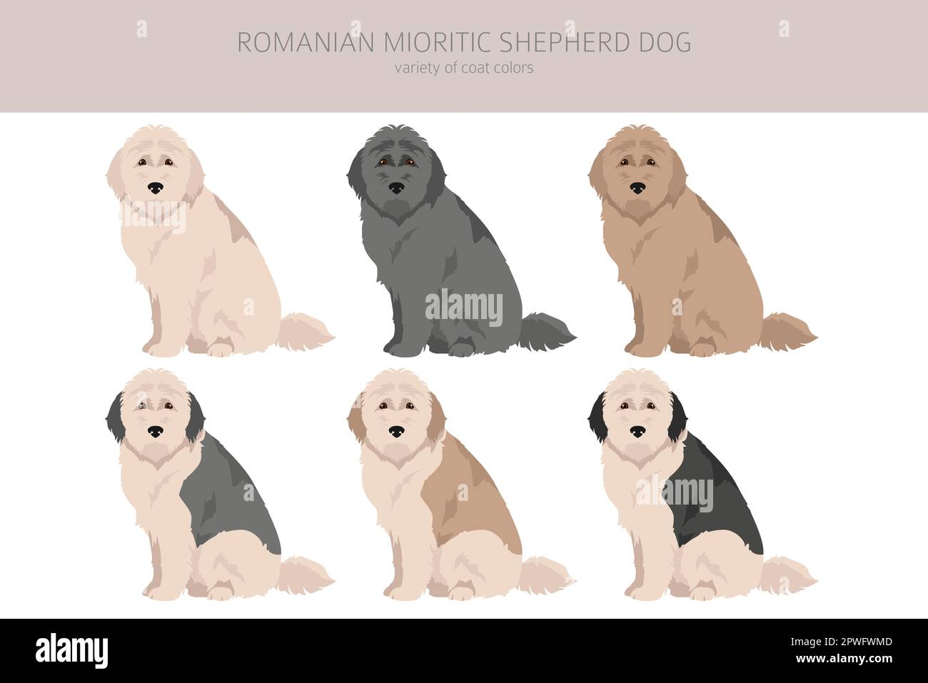 Romanian mioritic Stock Vector Images - Alamy