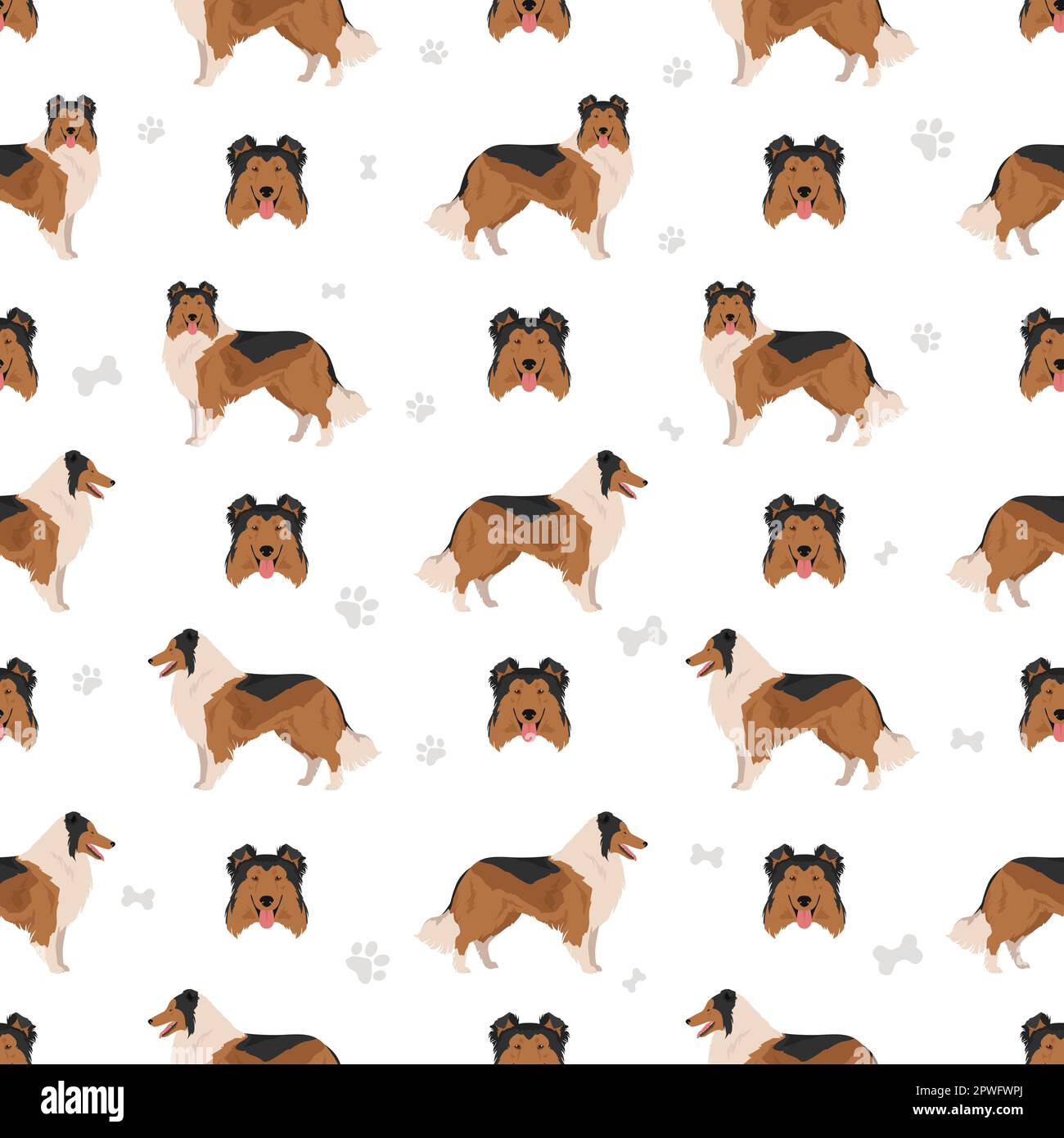 Rough collie seamless pattern. Different poses, coat colors set. Vector ...