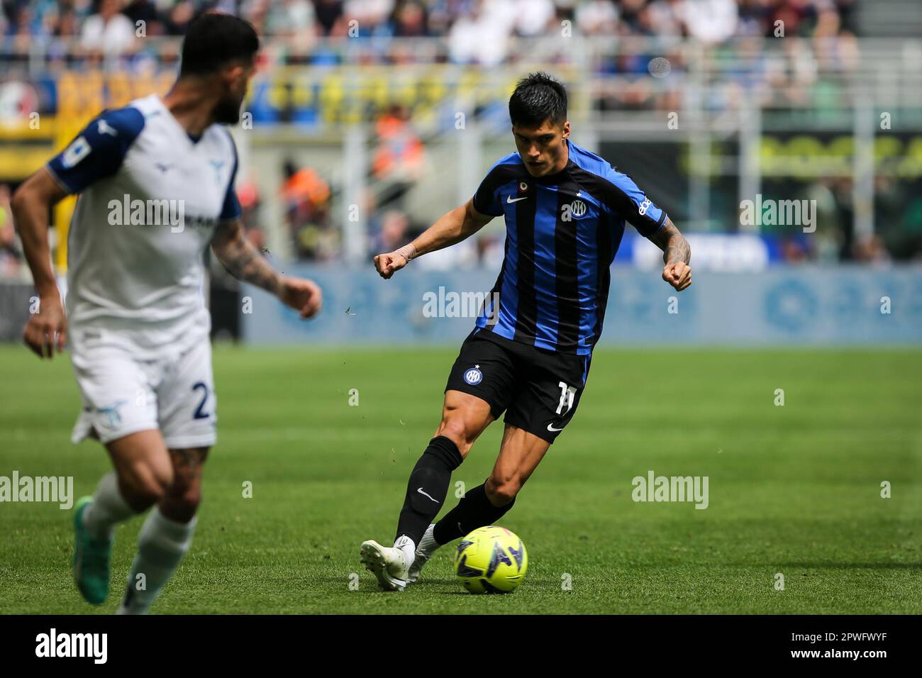 Correa inter hi-res stock photography and images - Alamy