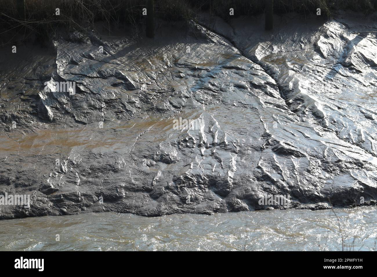 Full frame image of mud flat with small river in foreground Stock Photo ...