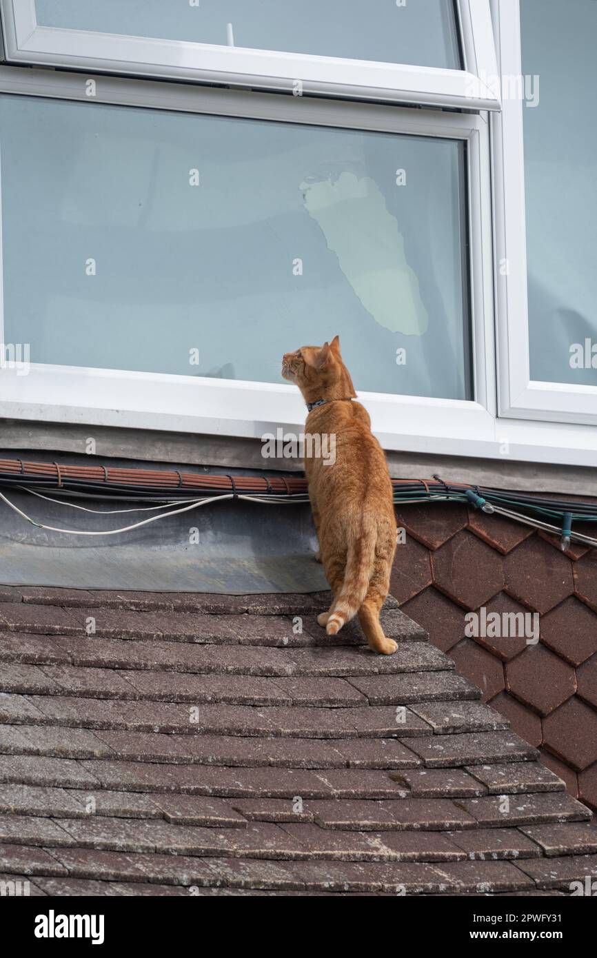 Flat window hi-res stock photography and images - Alamy