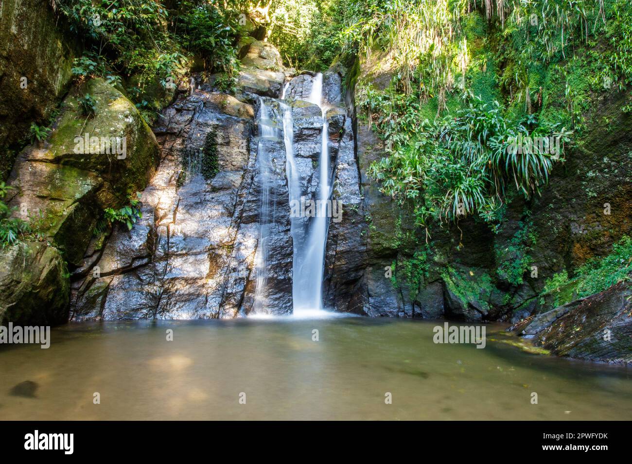 Shower Waterfall in Horto of Rio de Janeiro, Brazil Stock Photo - Alamy