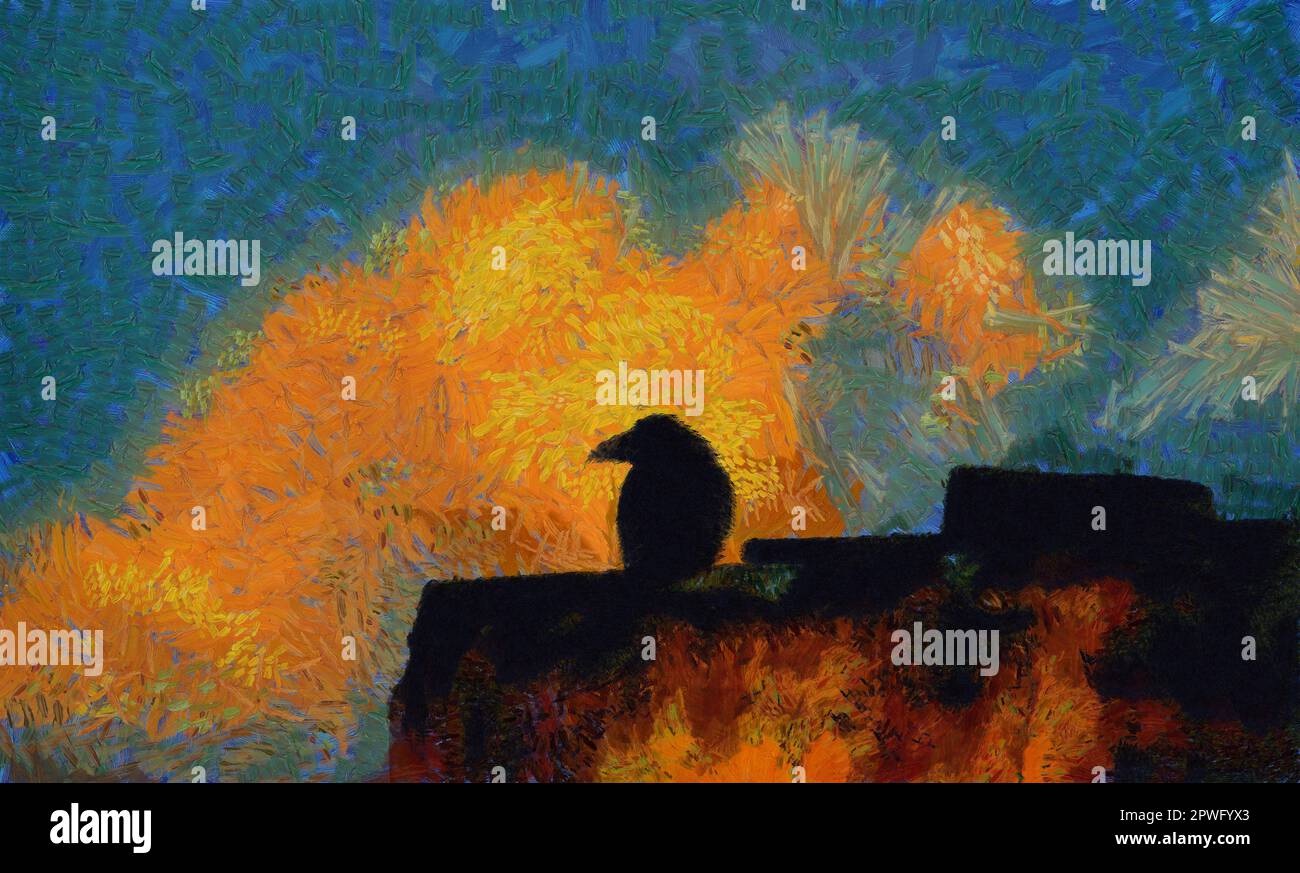 Detailed crow hi-res stock photography and images - Alamy