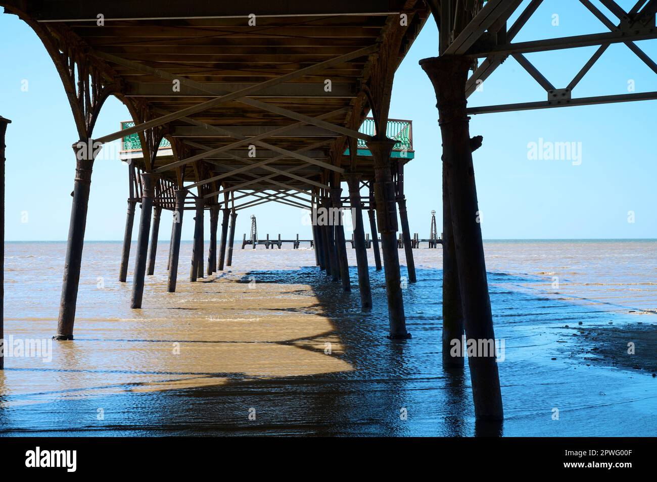 Tide insects hi-res stock photography and images - Alamy