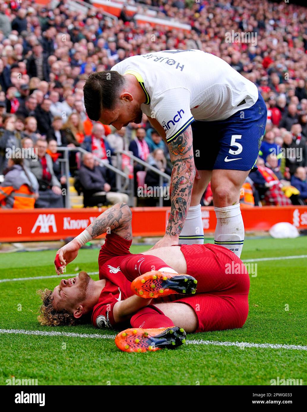 Tottenham Hotspur's Pierre-Emile Hojbjerg checks on Liverpool's Harvey ...