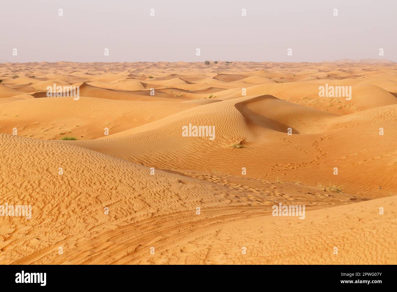 Amazing views of the Sahara desert under the day clean sky. Endless ...