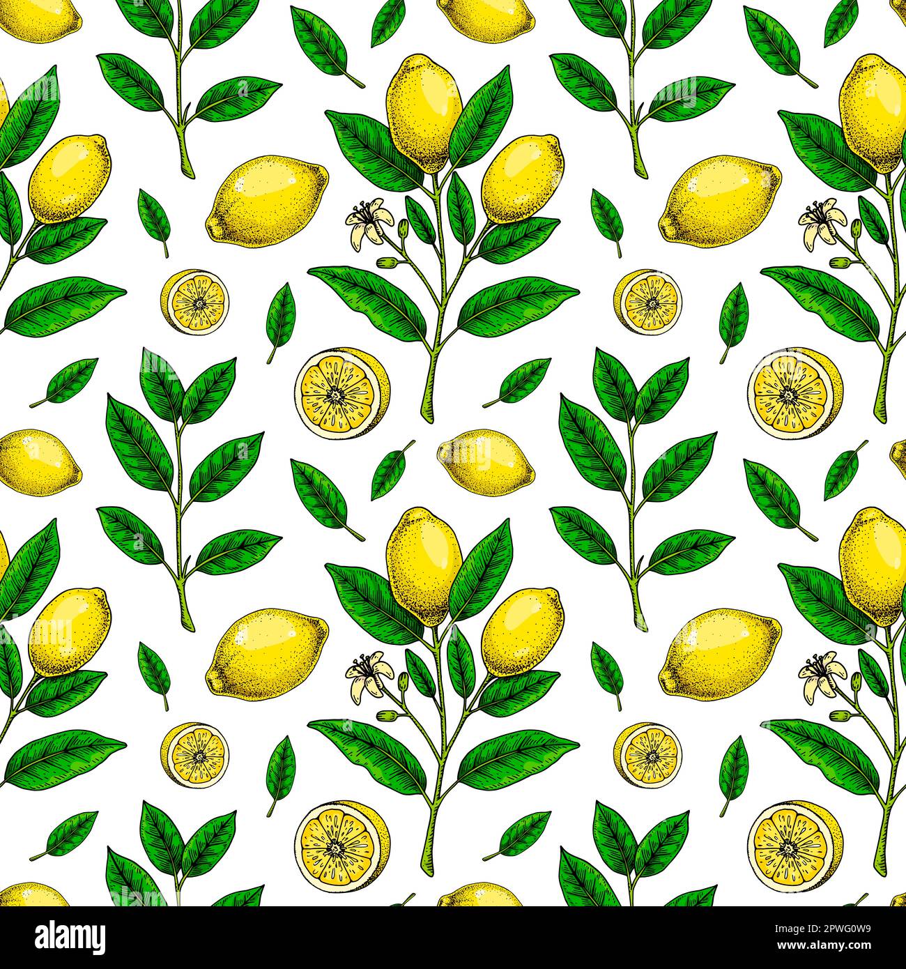 Lemon seamless pattern. Colorful hand drawn vector illustration in ...