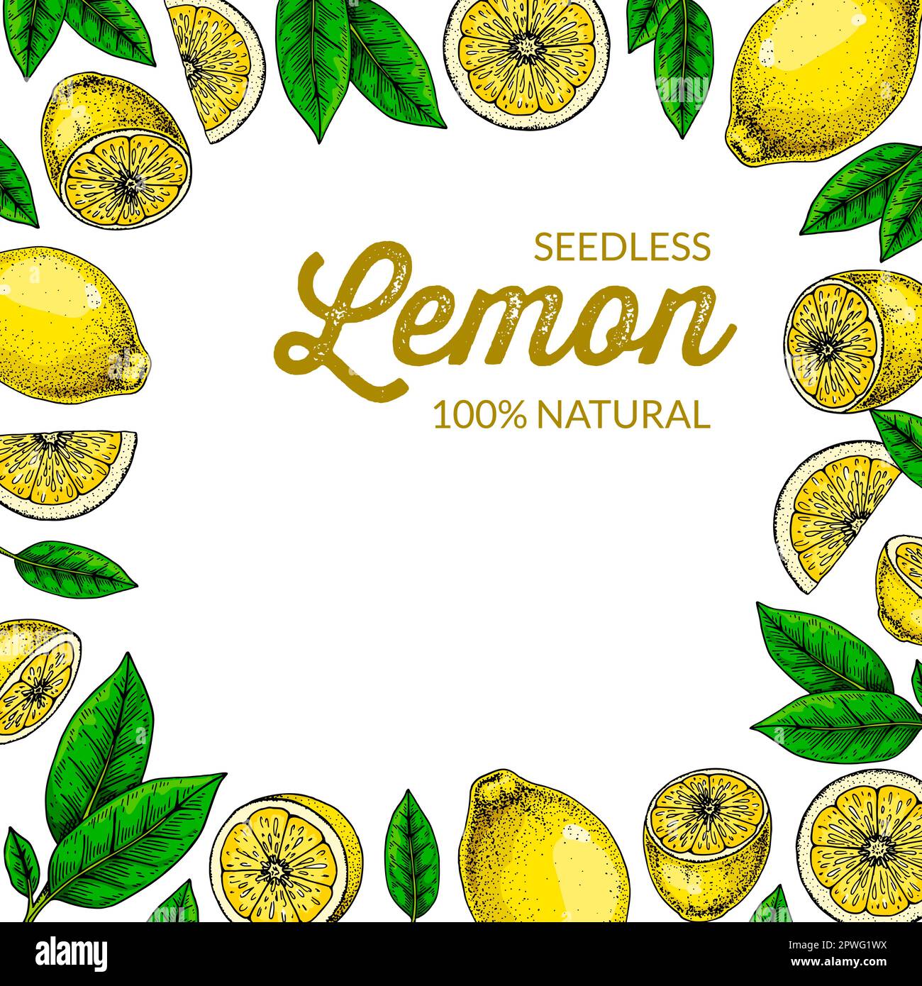 Lemon square background. Colorful vector illustration in sketch style ...