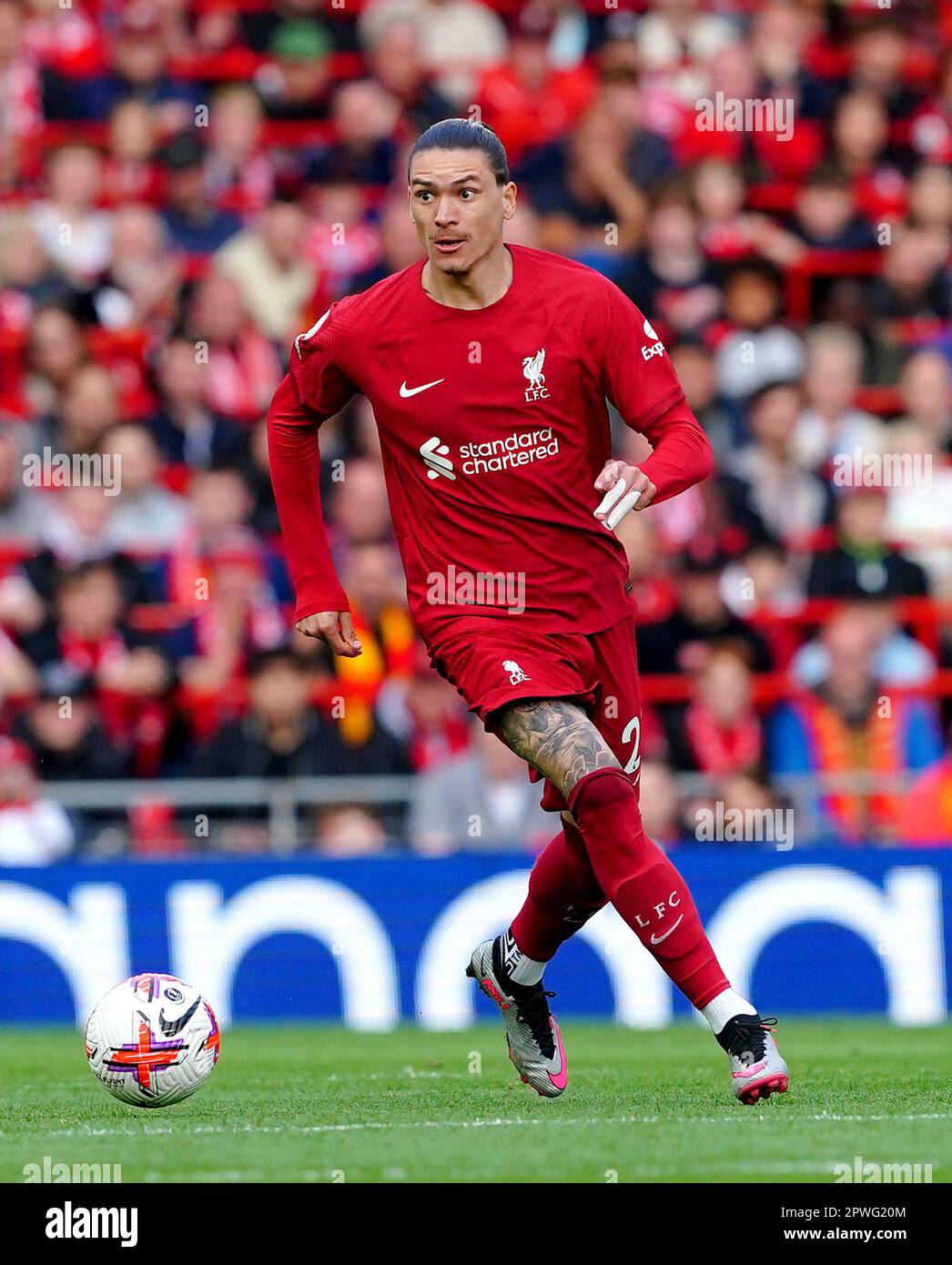 Darwin nunez liverpool 2023 hi-res stock photography and images - Alamy