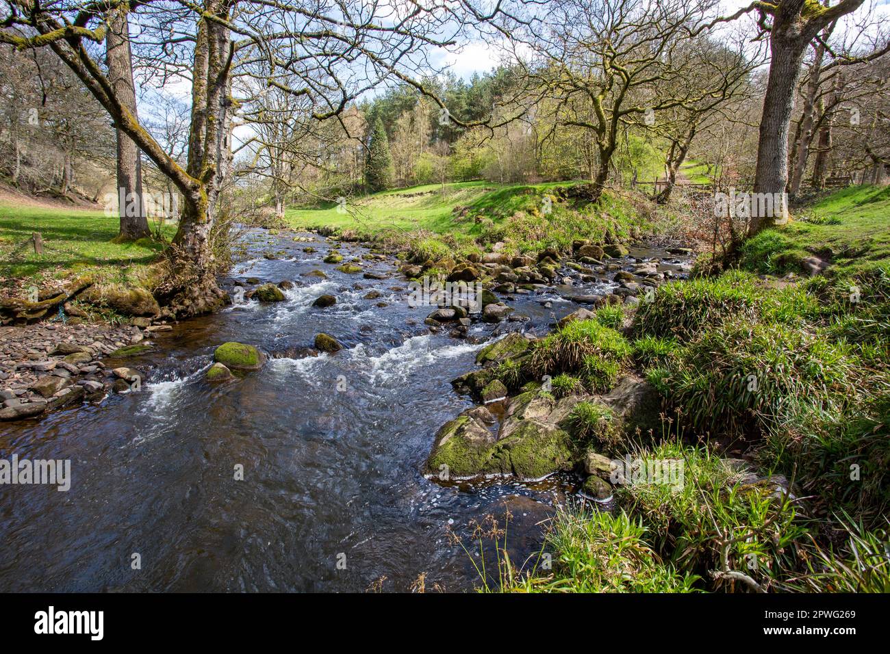 The confluence of the river Dane and Back Brook in the Peak District ...