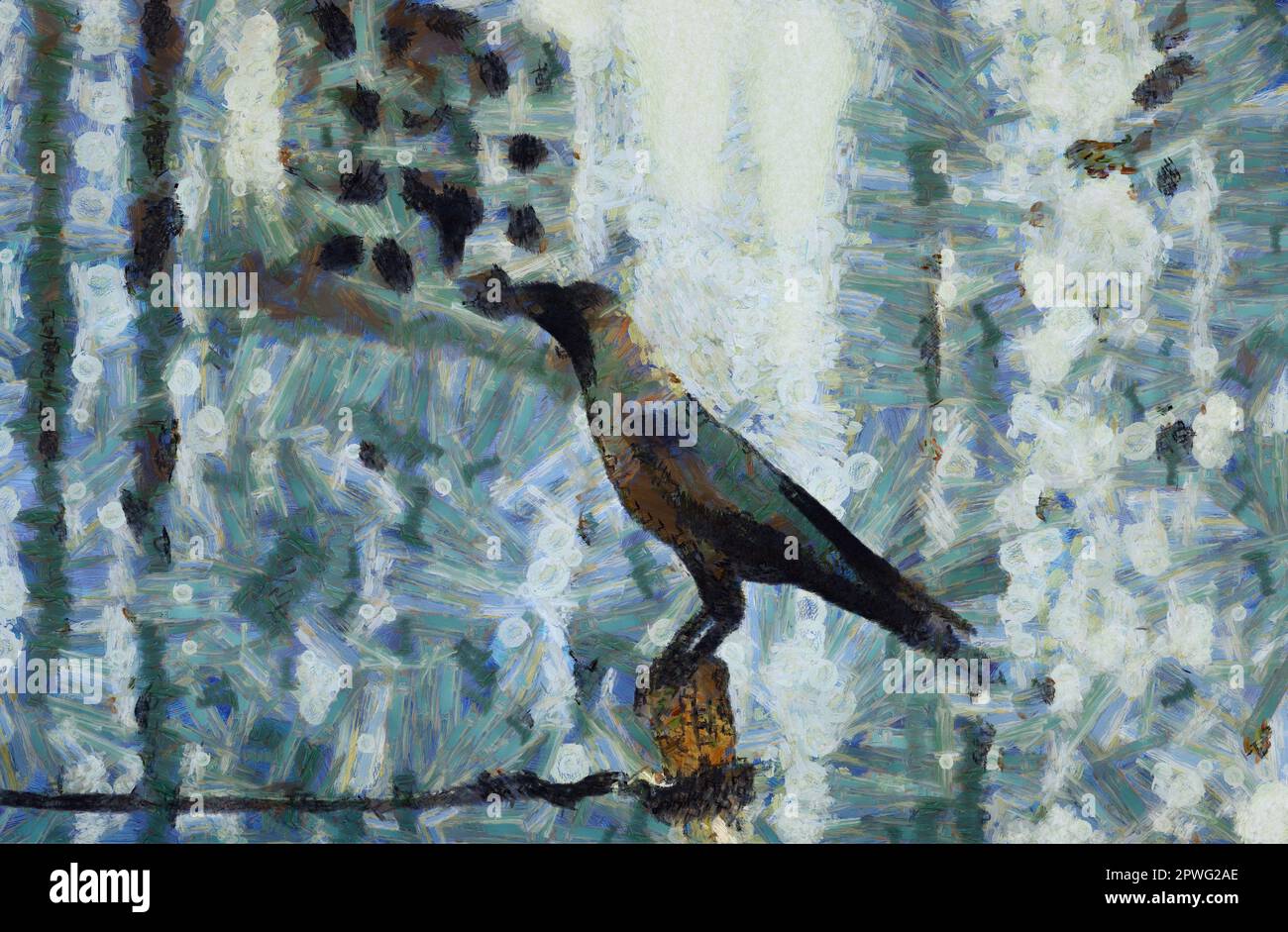 Detailed crow hi-res stock photography and images - Alamy