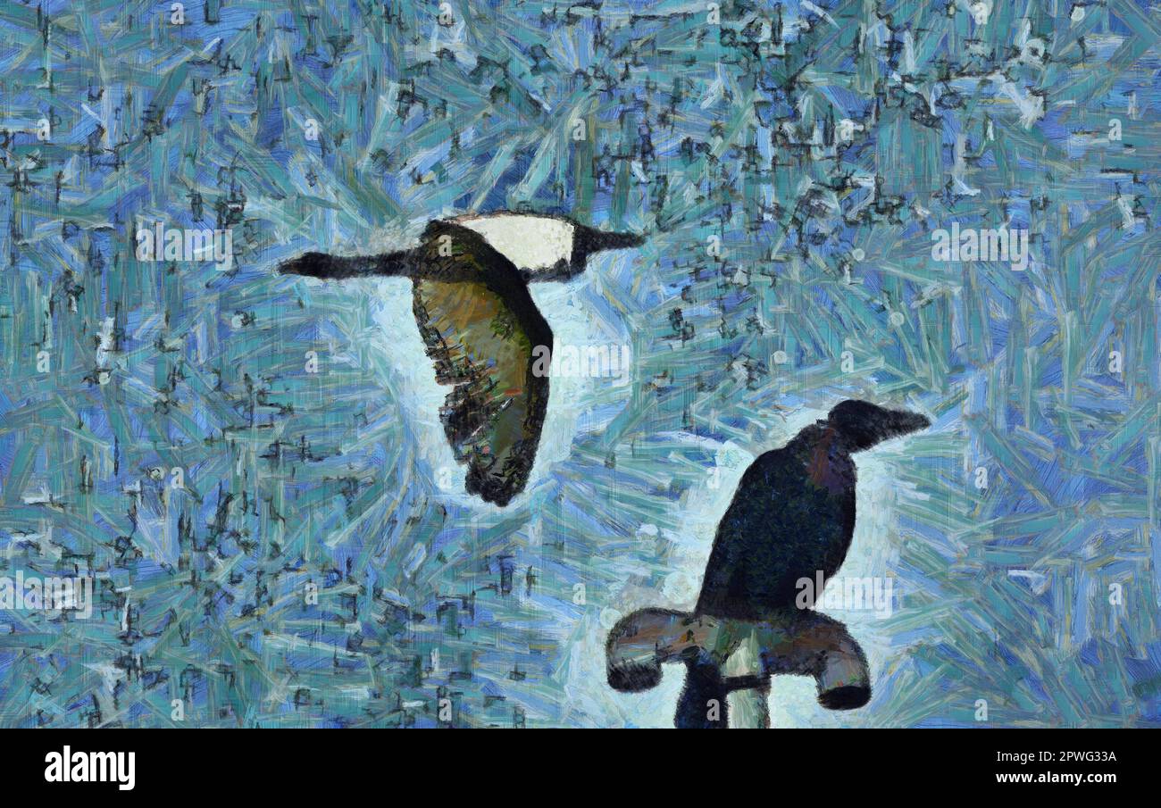 Detailed crow hi-res stock photography and images - Alamy