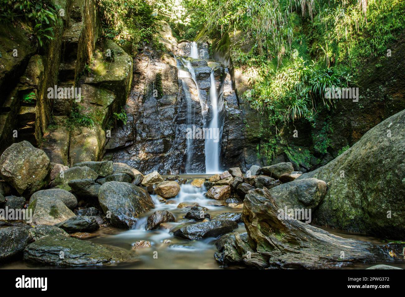 Shower Waterfall in Horto of Rio de Janeiro, Brazil Stock Photo - Alamy
