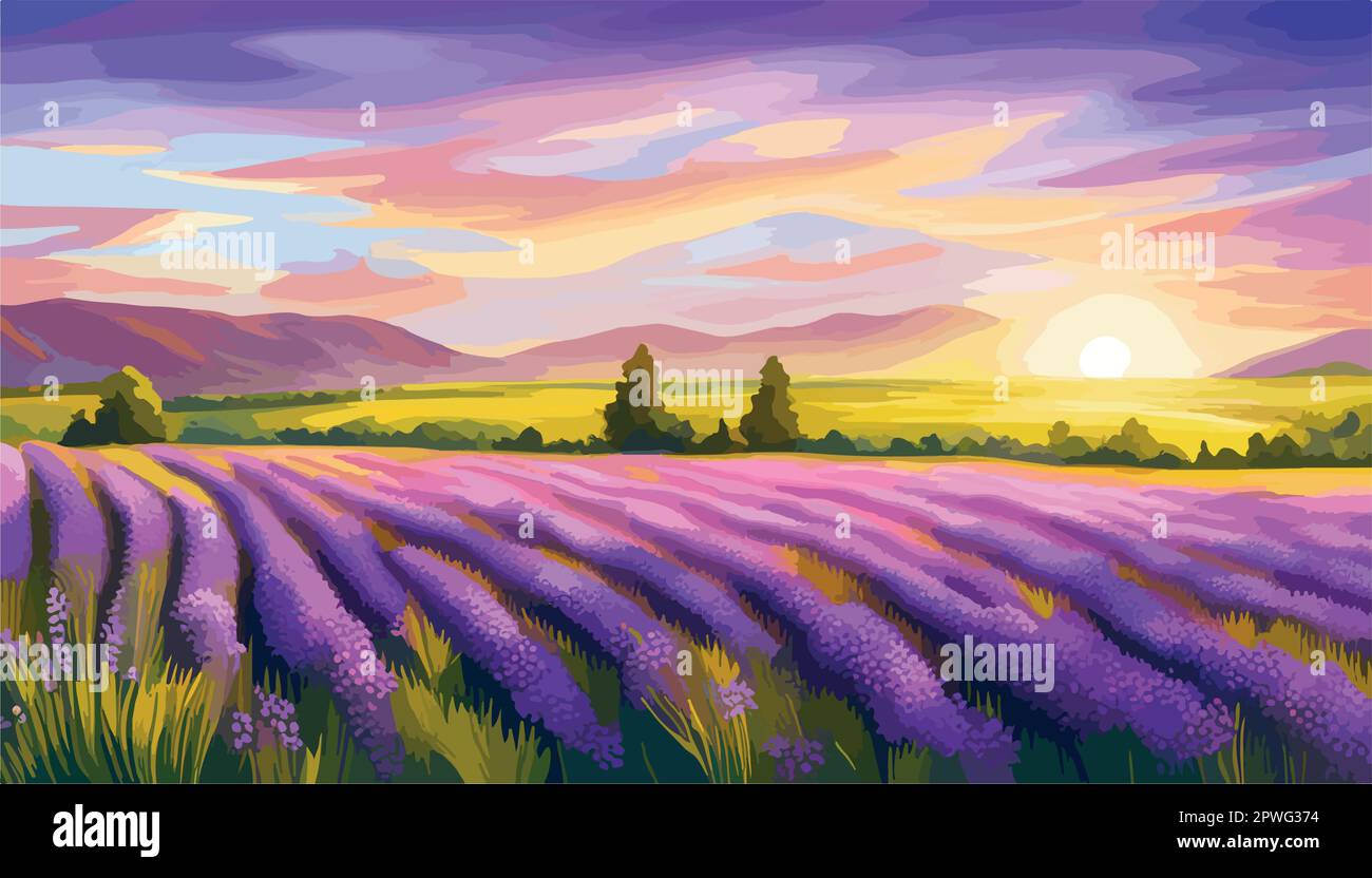 Purple lavender shrub Stock Vector Images - Alamy