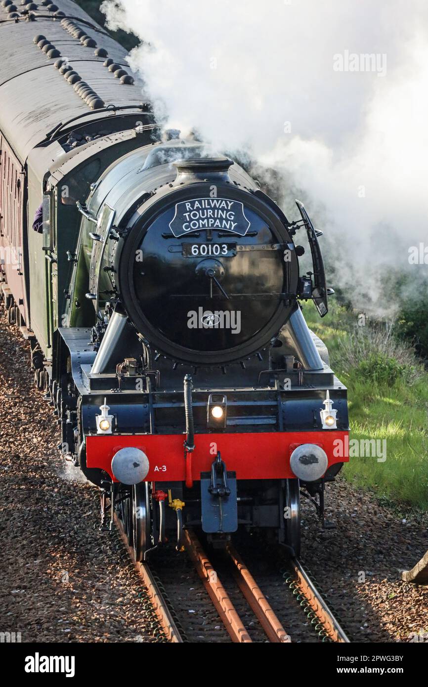 Portrait image of The Flying Scotsman on its Centenary tour of the UK ...