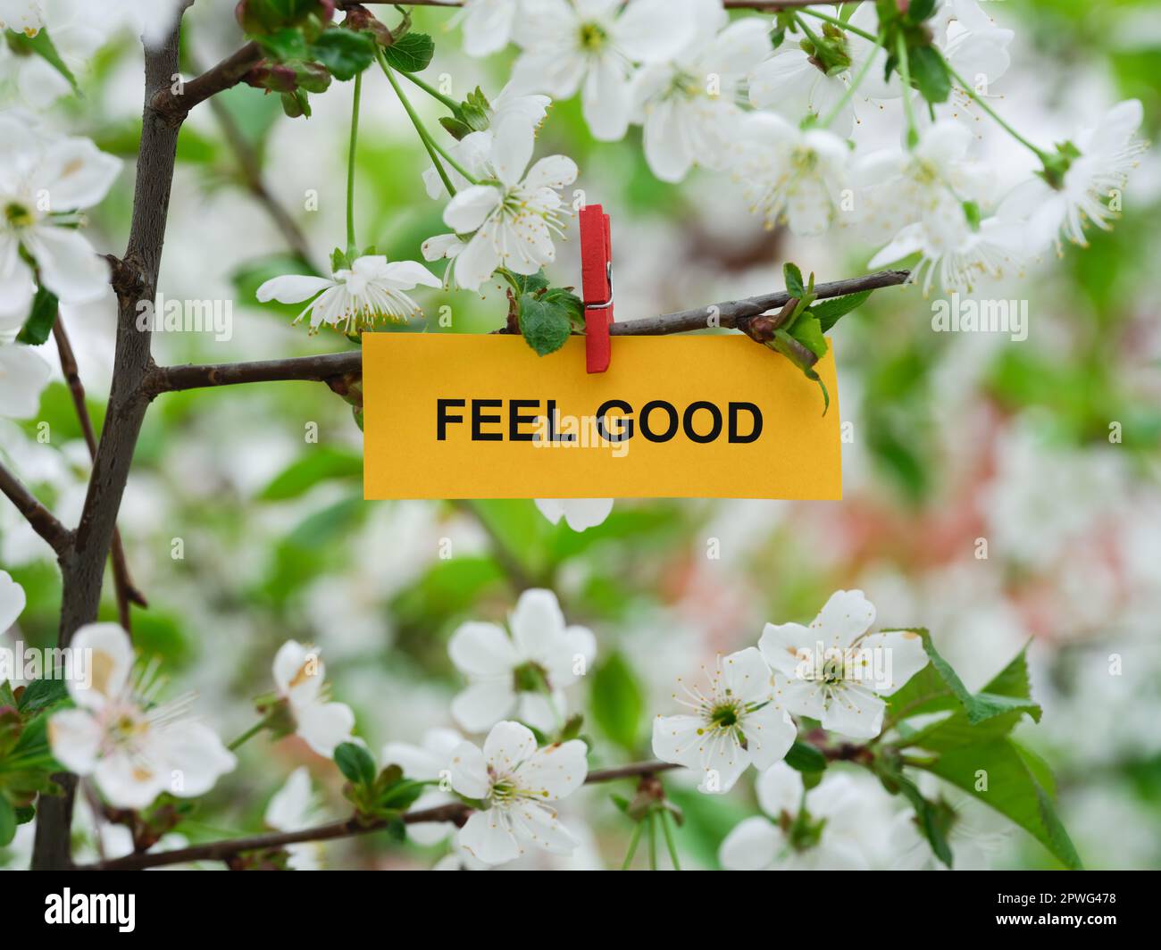 A yellow paper note with the phrase Feel Good on it attached to a ...