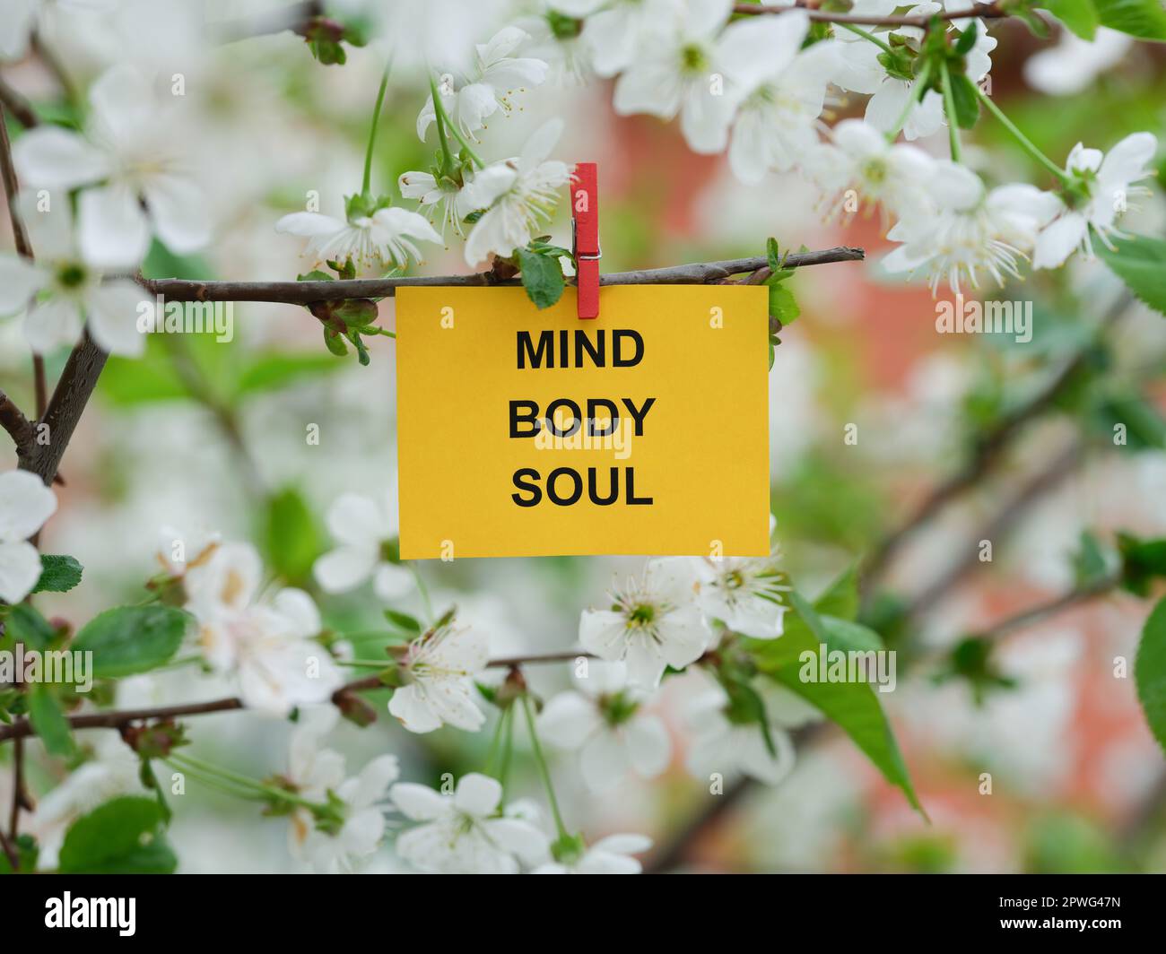 A yellow paper note with the words Mind, Body, Soul on it attached to a ...
