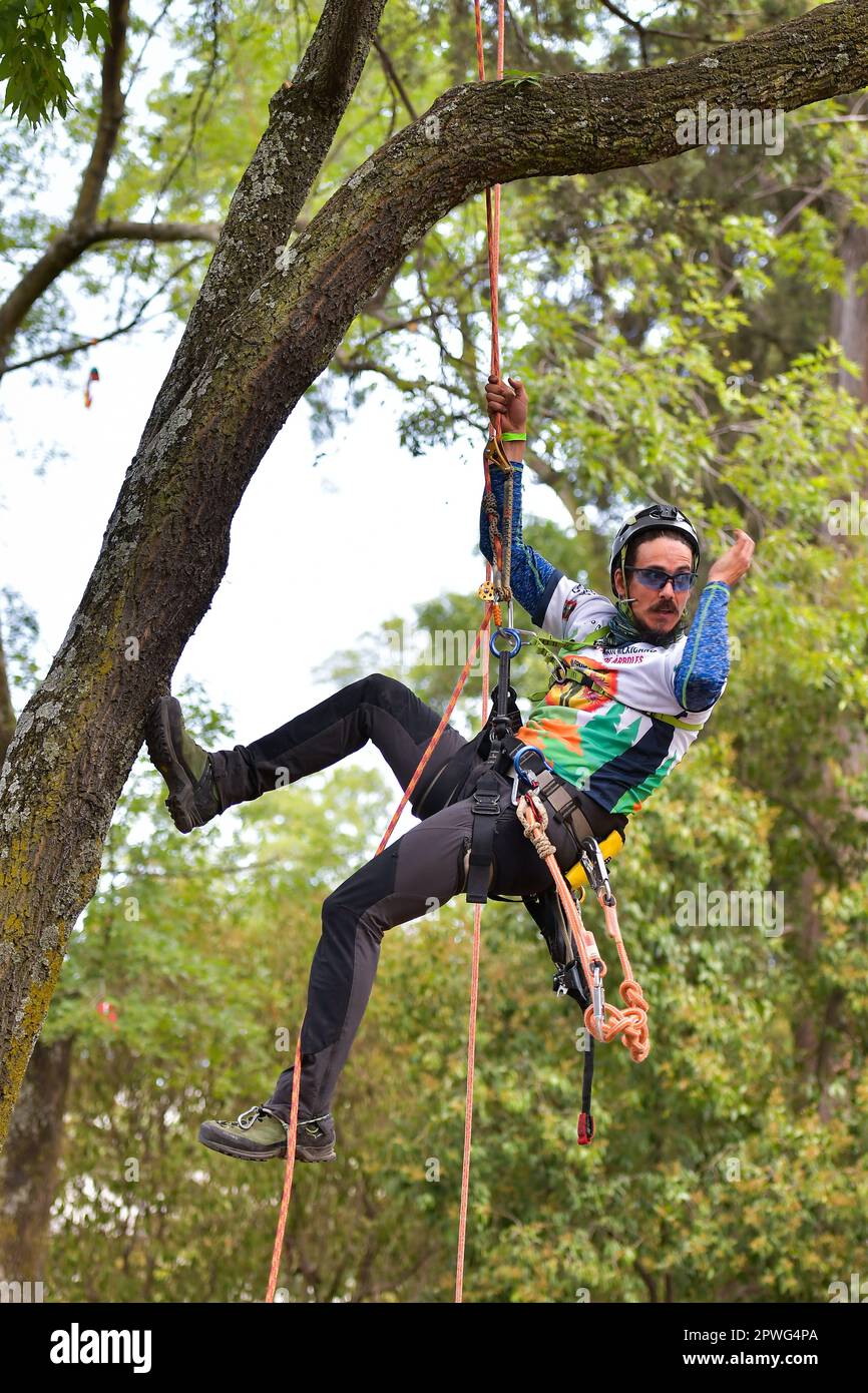 Toluca, Mexico. 28th Apr, 2023. April 28, 2023 Toluca Mexico : With the ...